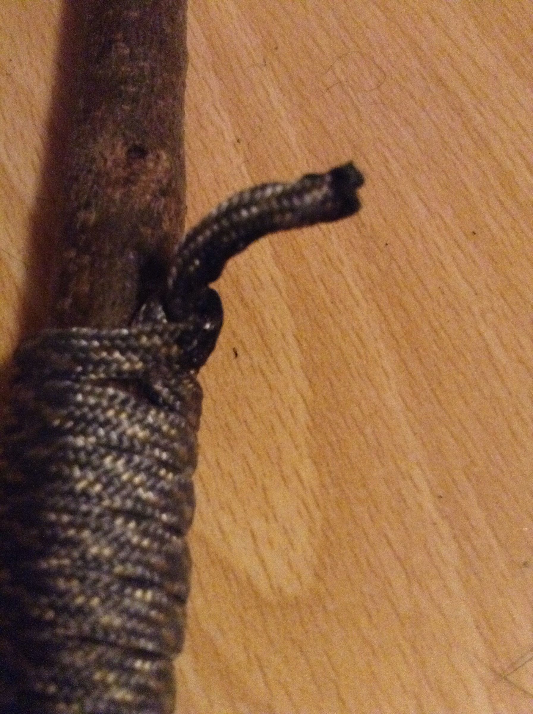 How to Make a Survival Whip Bow : 6 Steps - Instructables
