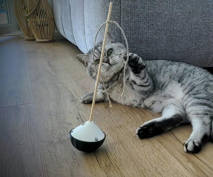 Stand-Up Cat Toy : 5 Steps (with Pictures) - Instructables