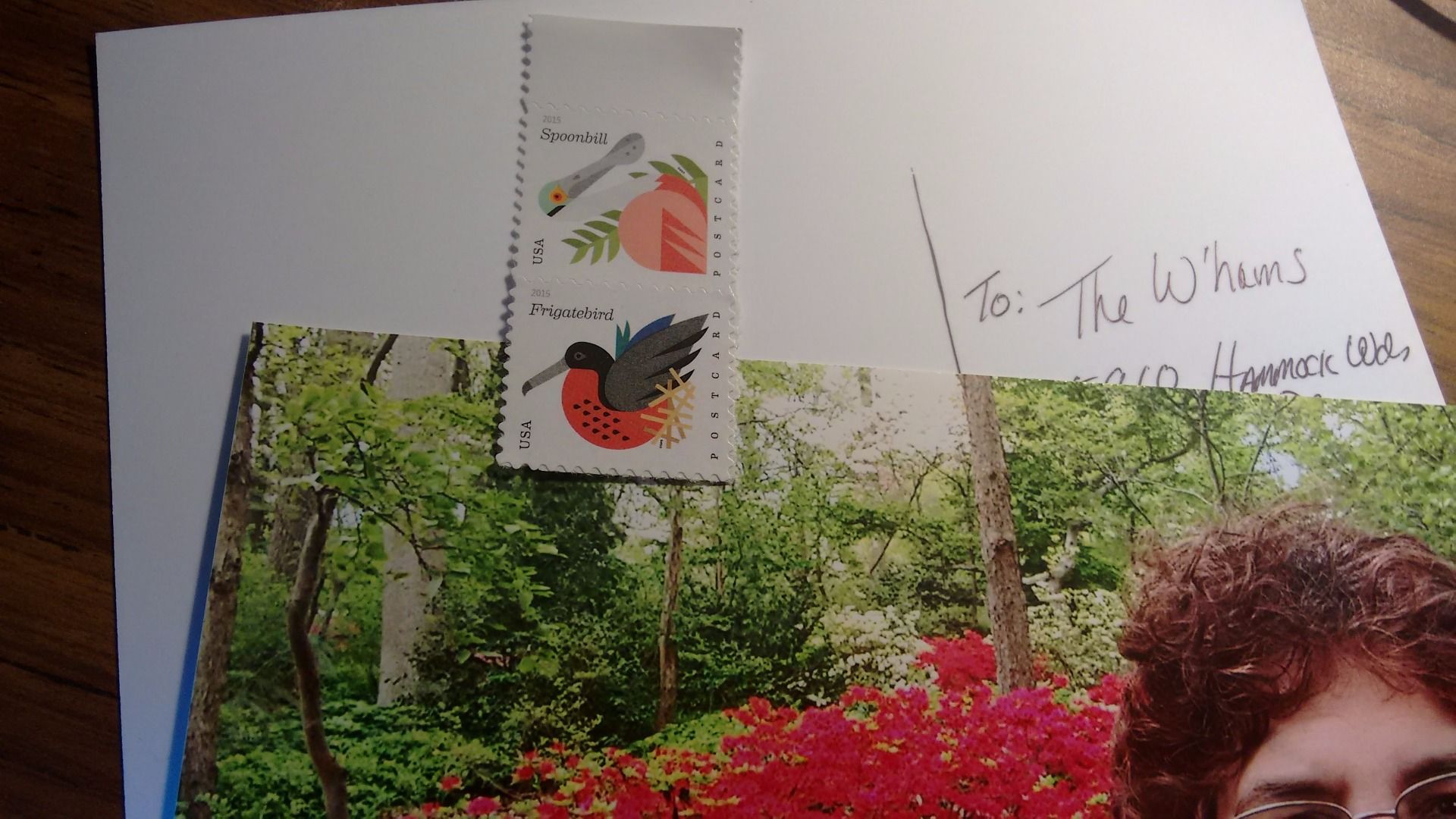 DIY Photo Postcards on the Go : 7 Steps (with Pictures) - Instructables