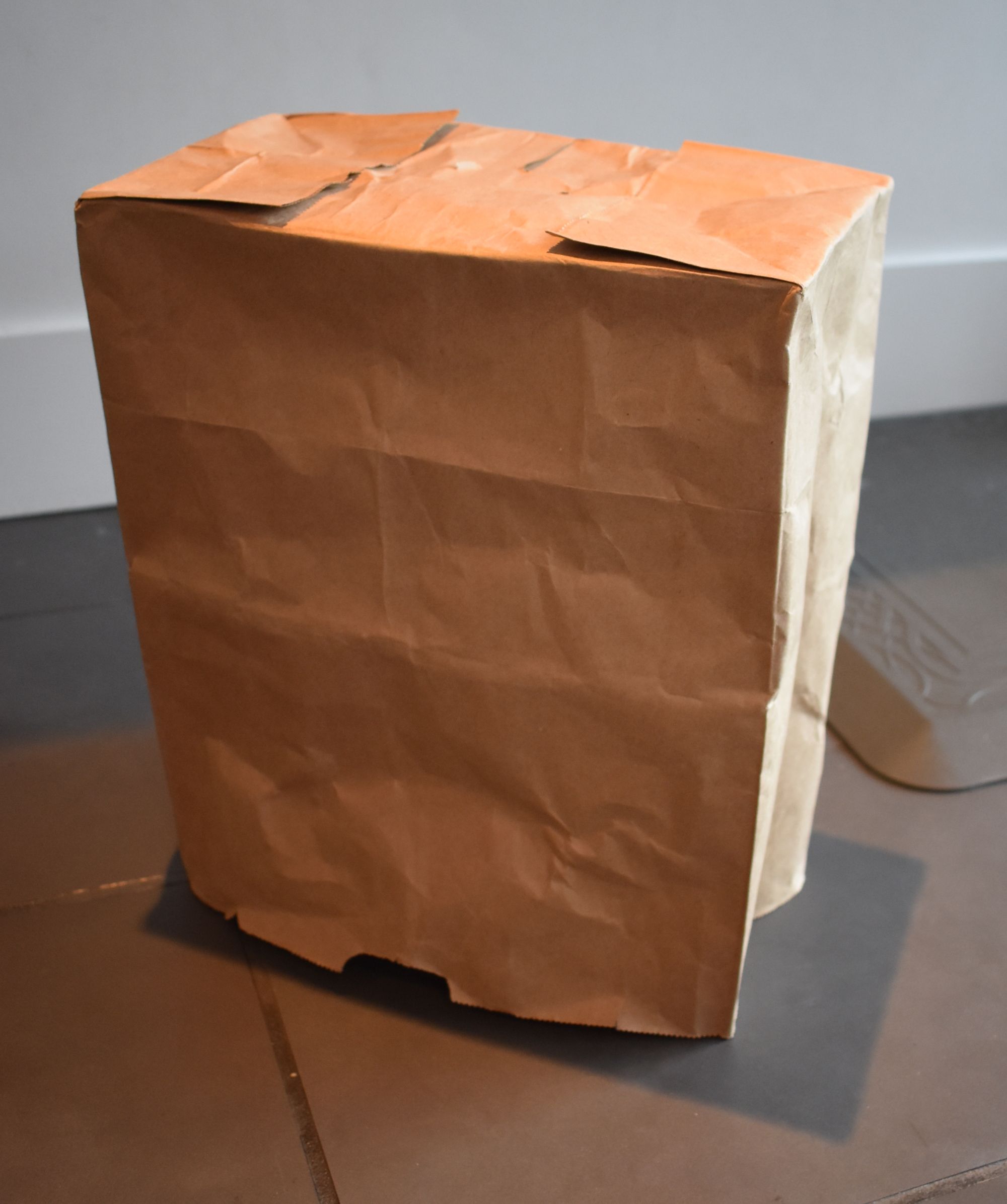Paper Bag Princess : 4 Steps (with Pictures) - Instructables