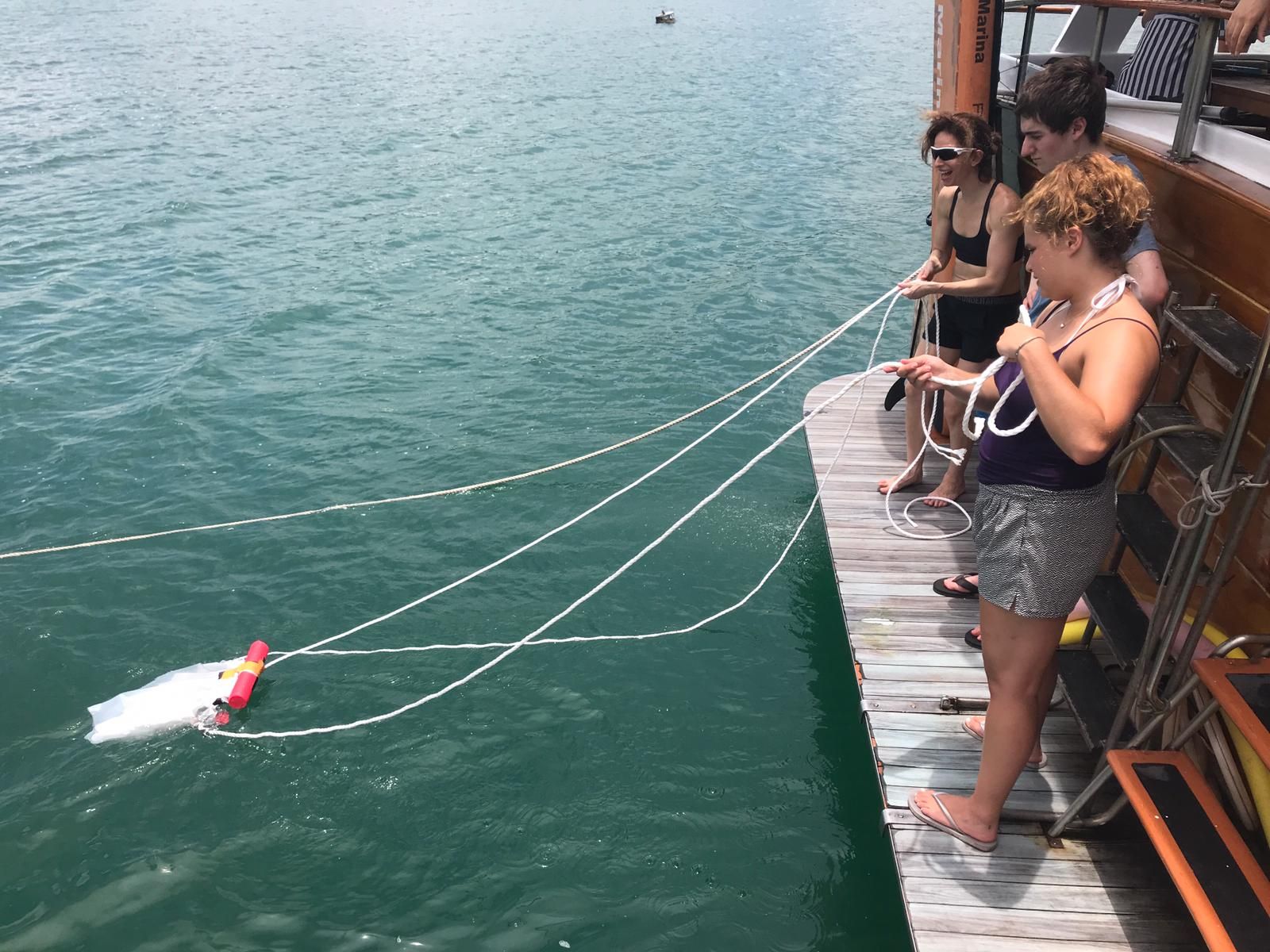 Plankton & Microplastic Collection Net : 9 Steps (with Pictures ...