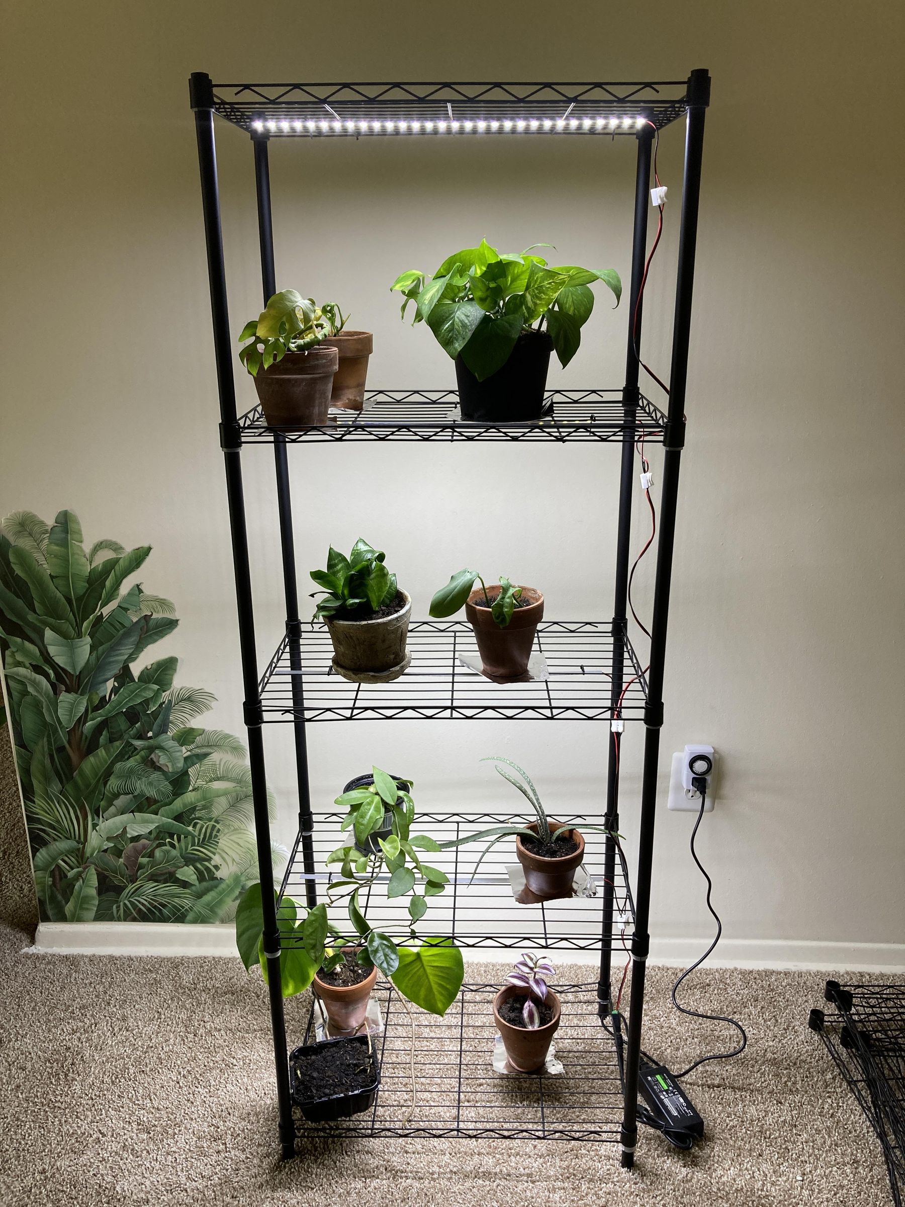Under-Lit Rack for Growing Plants : 6 Steps (with Pictures) - Instructables