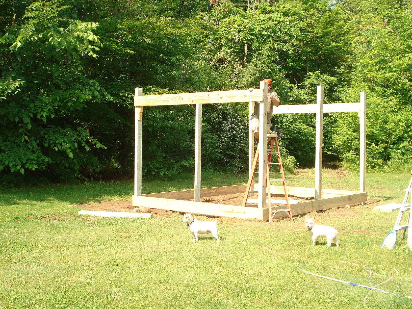 How to Build a 12x20 Cabin on a Budget : 15 Steps (with Pictures ...