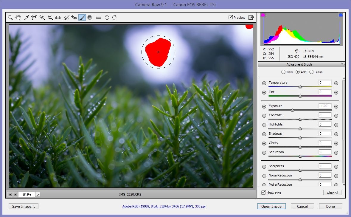 A Complete Beginner's Guide to Raw Files and Raw Processing : 11 Steps ...