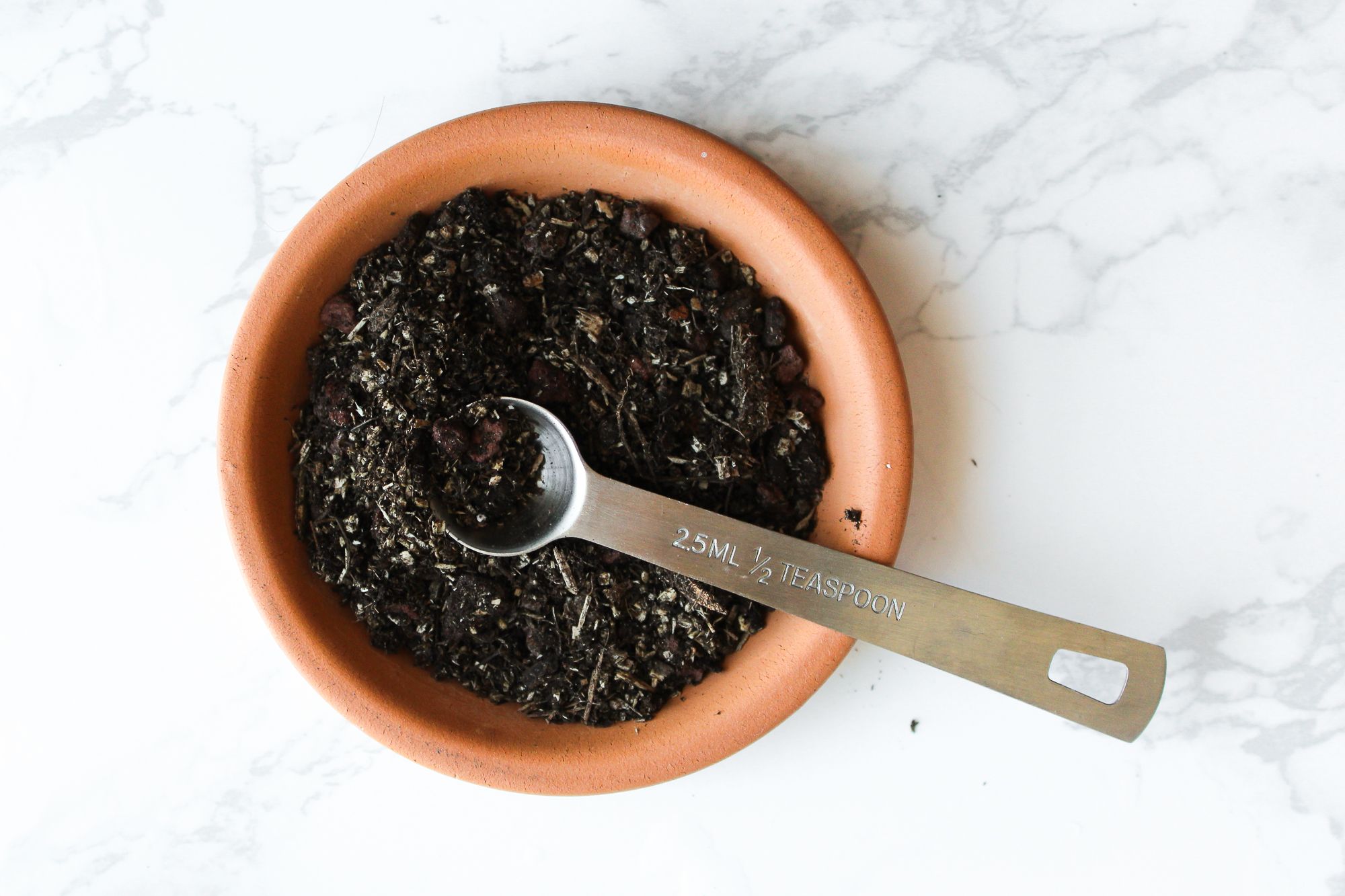 How to Grow and Care for Baby Toes (Fenestraria Rhopalophylla) : 5 ...
