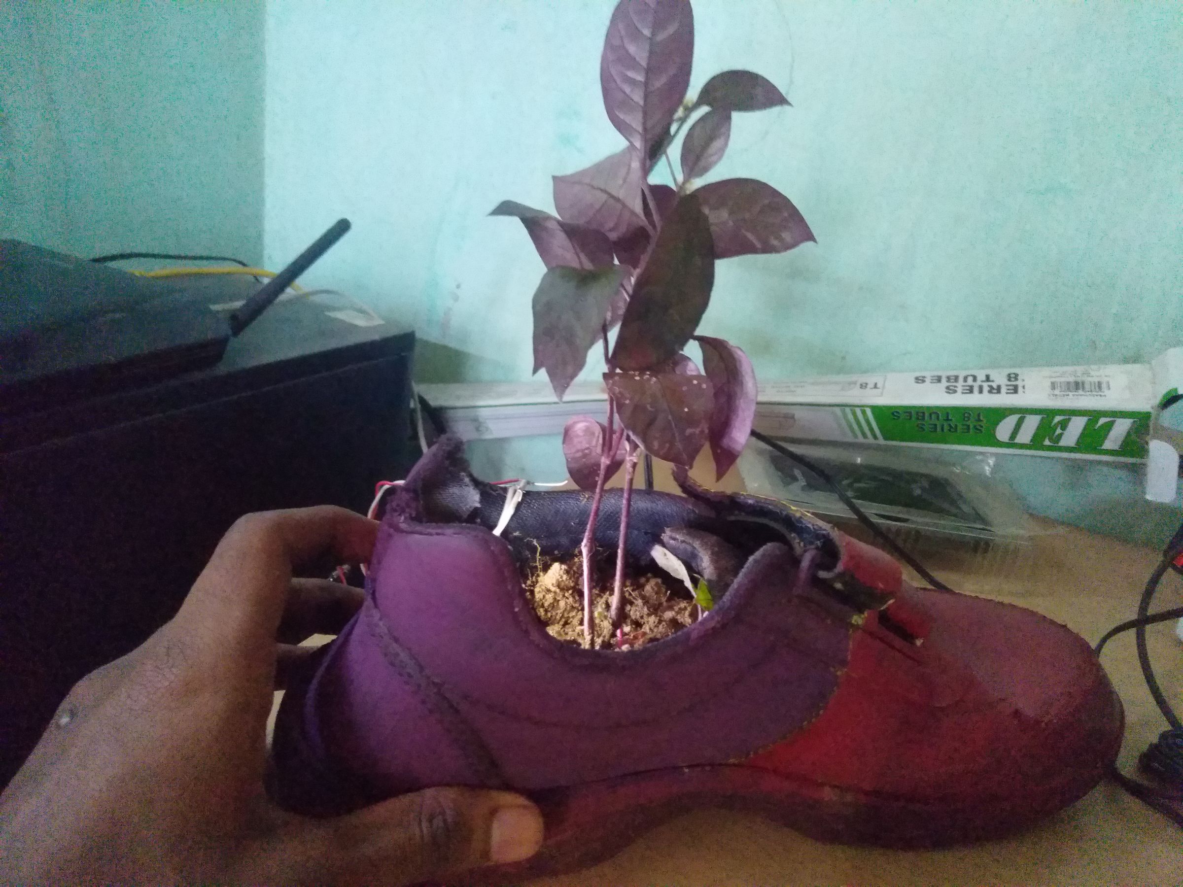 Eco Friendly Shoe Flowerpot With LED 2.0 : 5 Steps (with Pictures ...