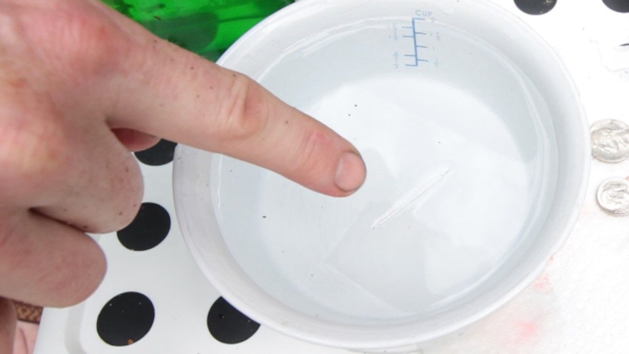 Surface Tension Science Experiments With Common Houshold Items : 5 ...