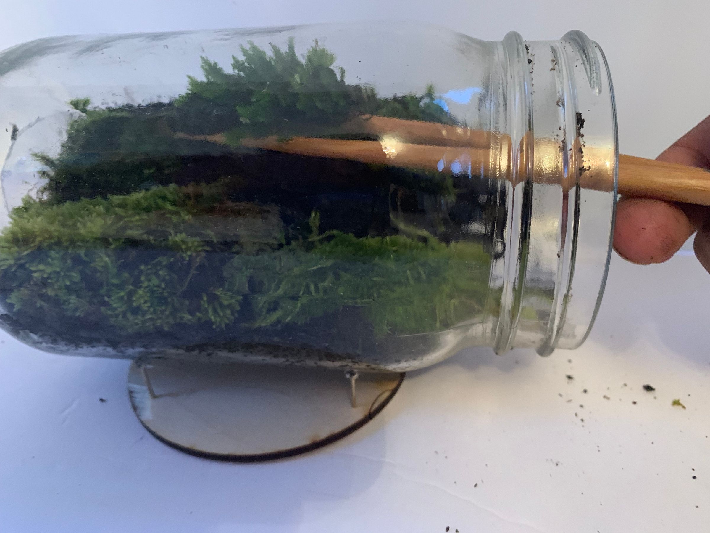 How to Build a Mason Jar Terrarium : 7 Steps - Instructables