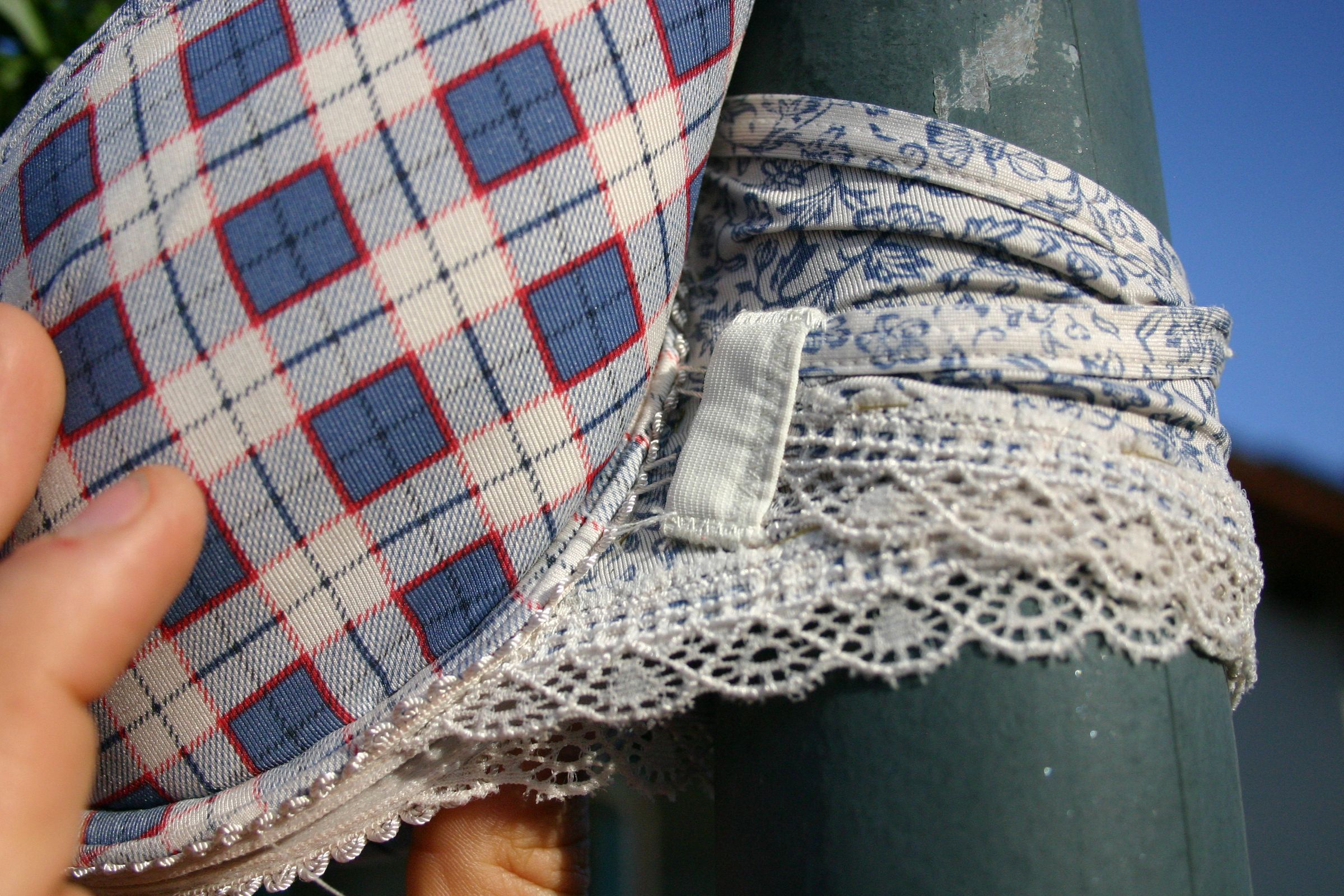 Guerilla Gardening With a Bra : 6 Steps (with Pictures) - Instructables