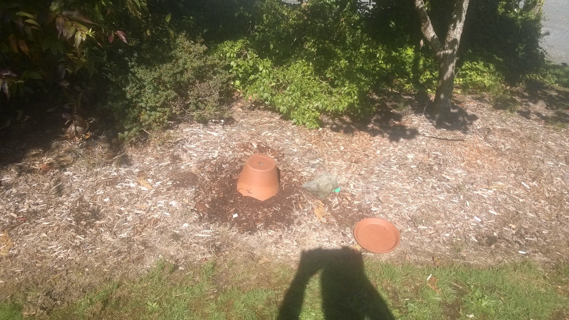 Bumble Bee Nest : 4 Steps - Instructables