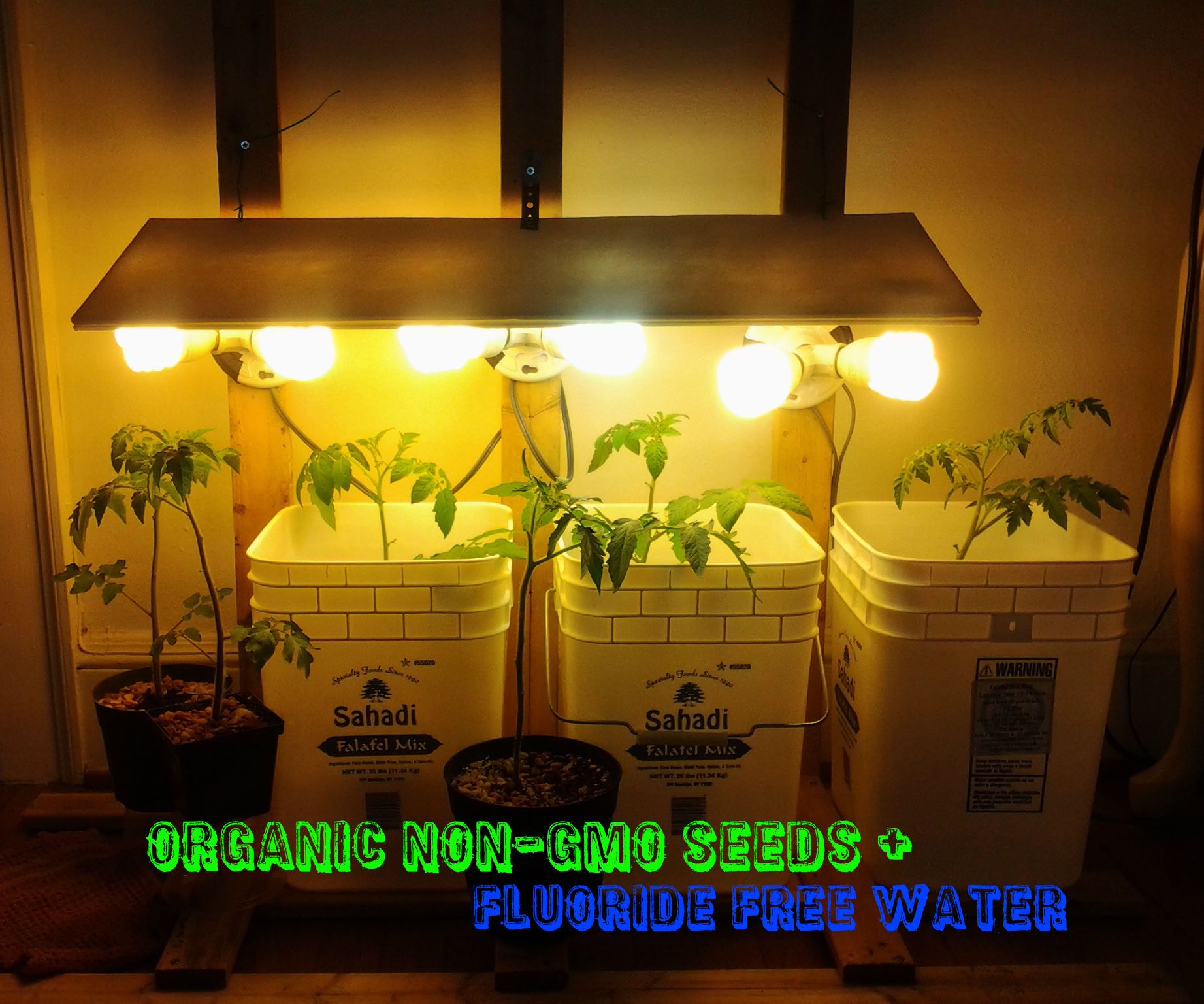 Grow Box - Novice / Entry Level : 8 Steps (with Pictures) - Instructables