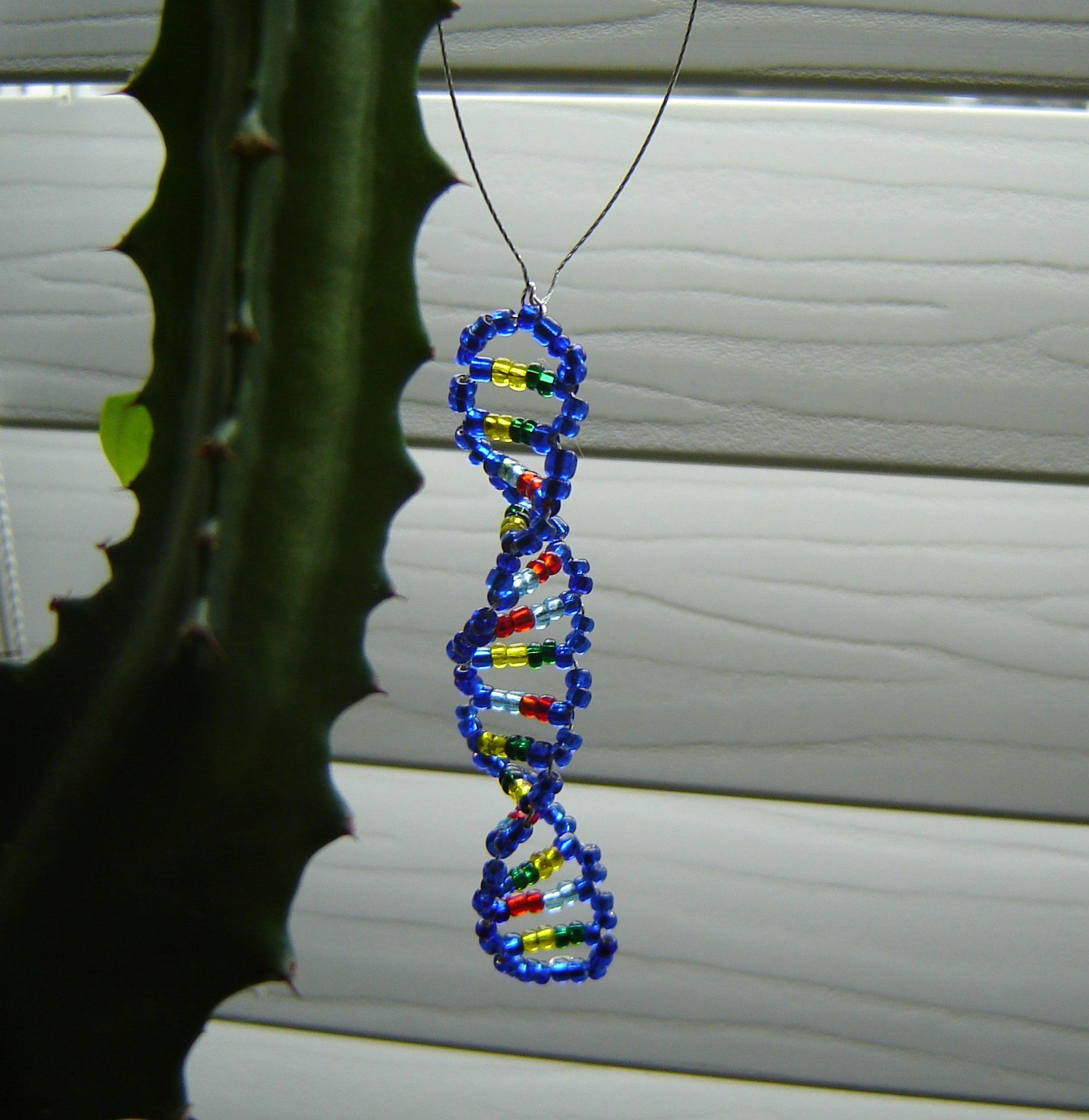 Dna Strand Model Ideas
