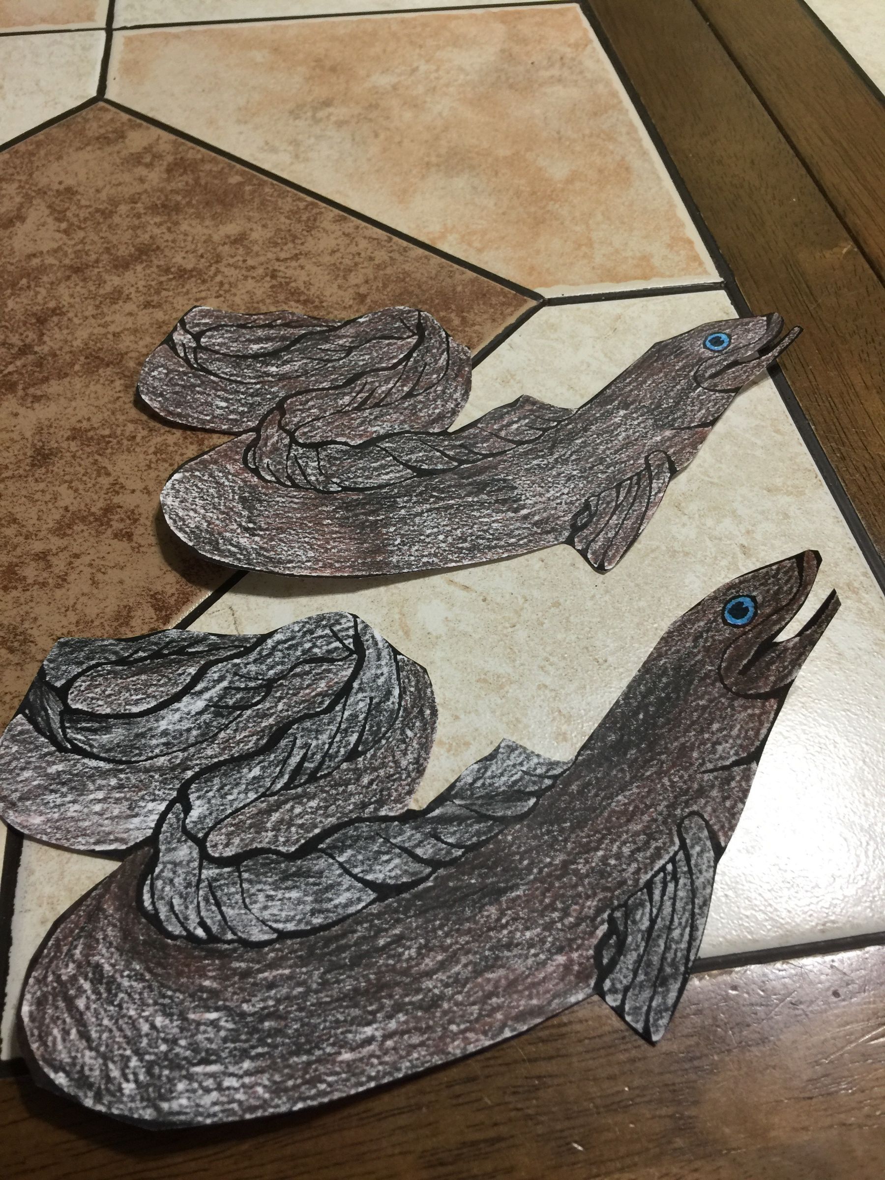 the Electric Eel : 7 Steps - Instructables