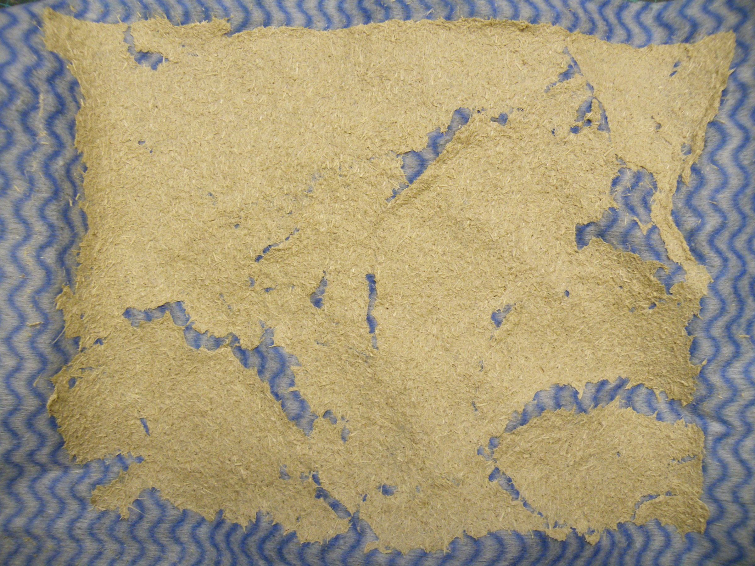 How to Make Paper : 15 Steps (with Pictures) - Instructables