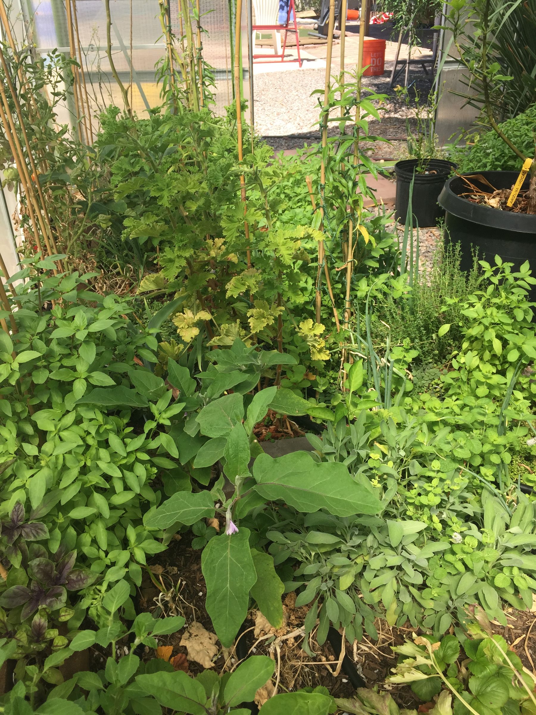 Greenhouse Modifications for Hot Climates : 8 Steps (with Pictures ...