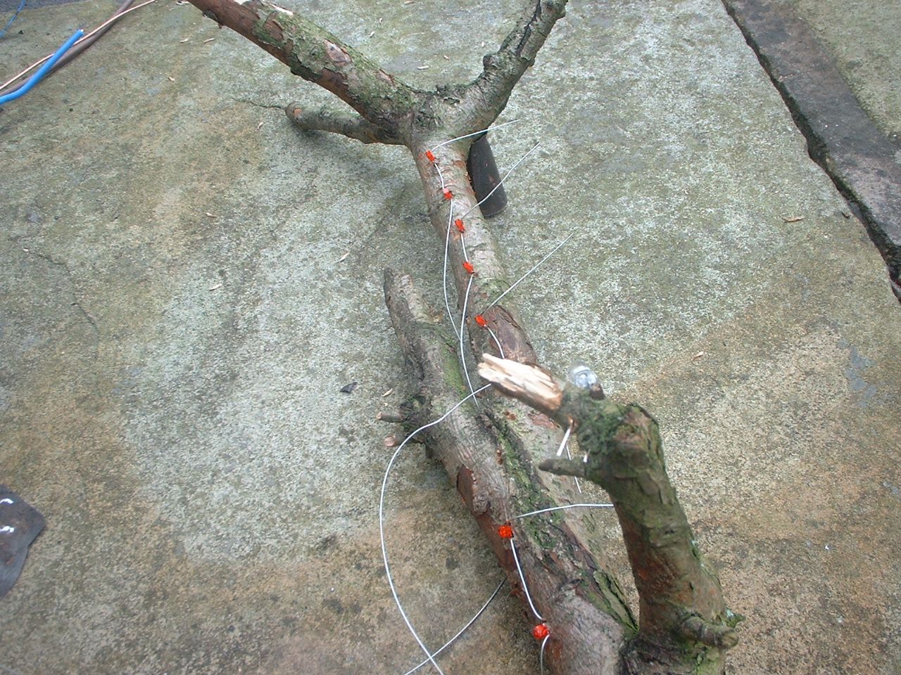 LED Light Tree : 7 Steps - Instructables