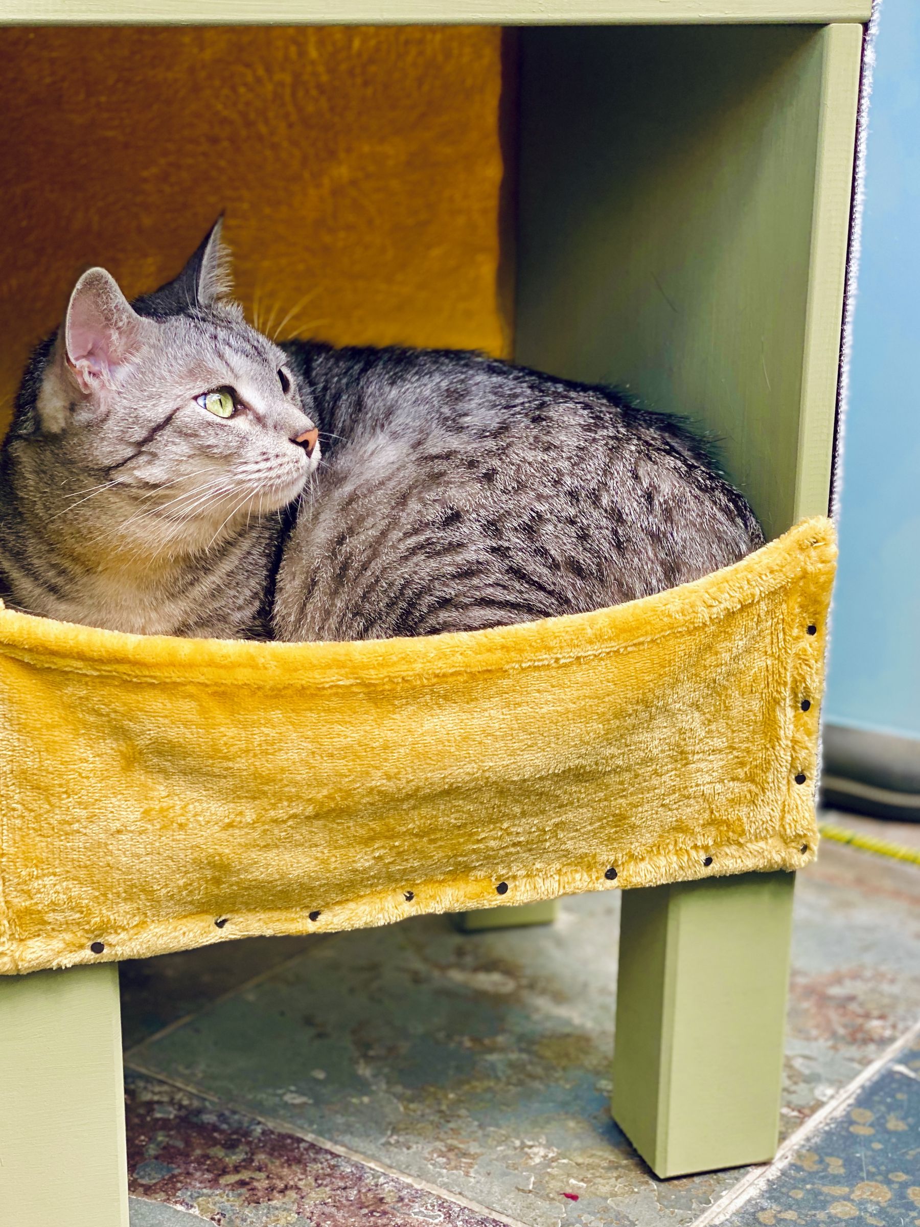 Cube Cat House : 11 Steps (with Pictures) - Instructables