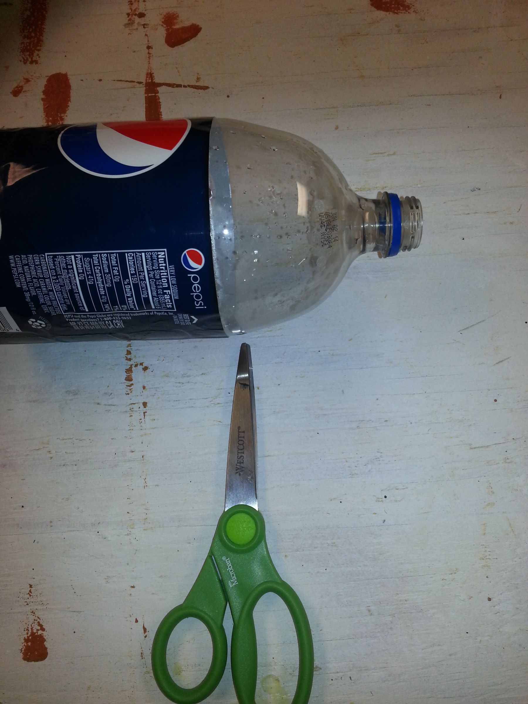 The Inescapable Stink Bug Trap : 5 Steps - Instructables