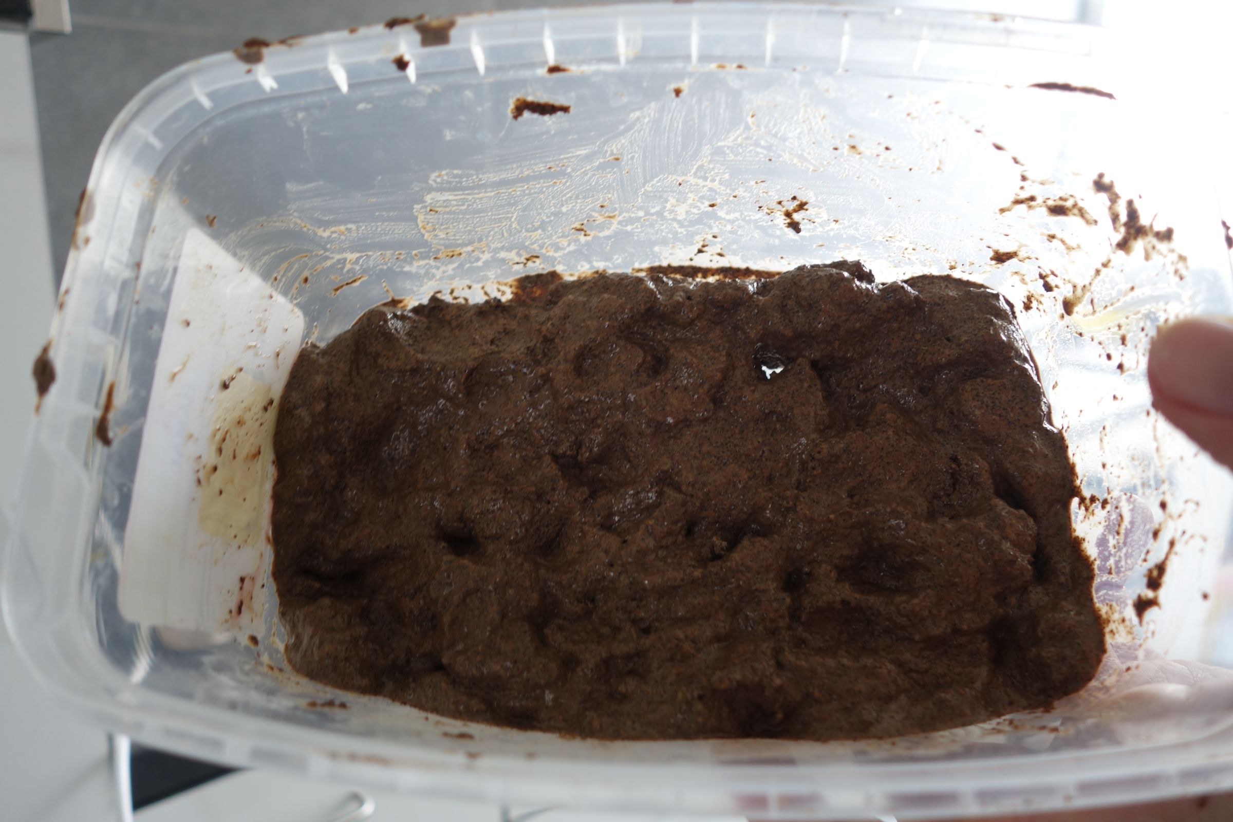 Biodegradable Flower Pots Out of Coffee Grounds! : 6 Steps (with ...