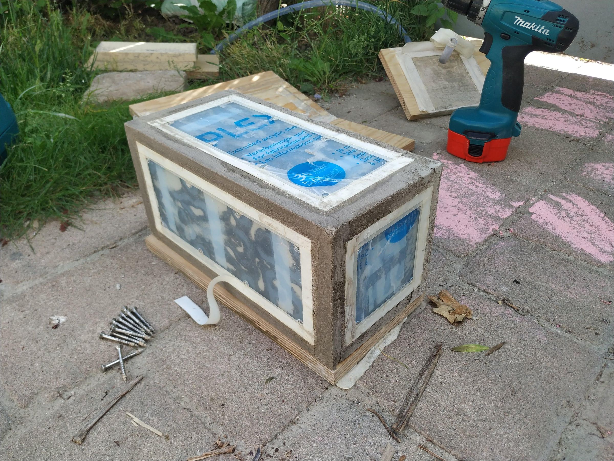 Concrete Ants Nest : 4 Steps (with Pictures) - Instructables