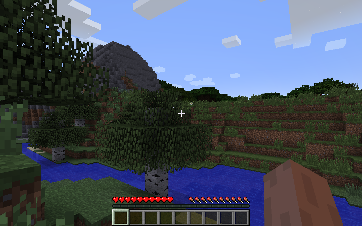 How to Survive Your First Day in Minecraft : 10 Steps (with Pictures ...