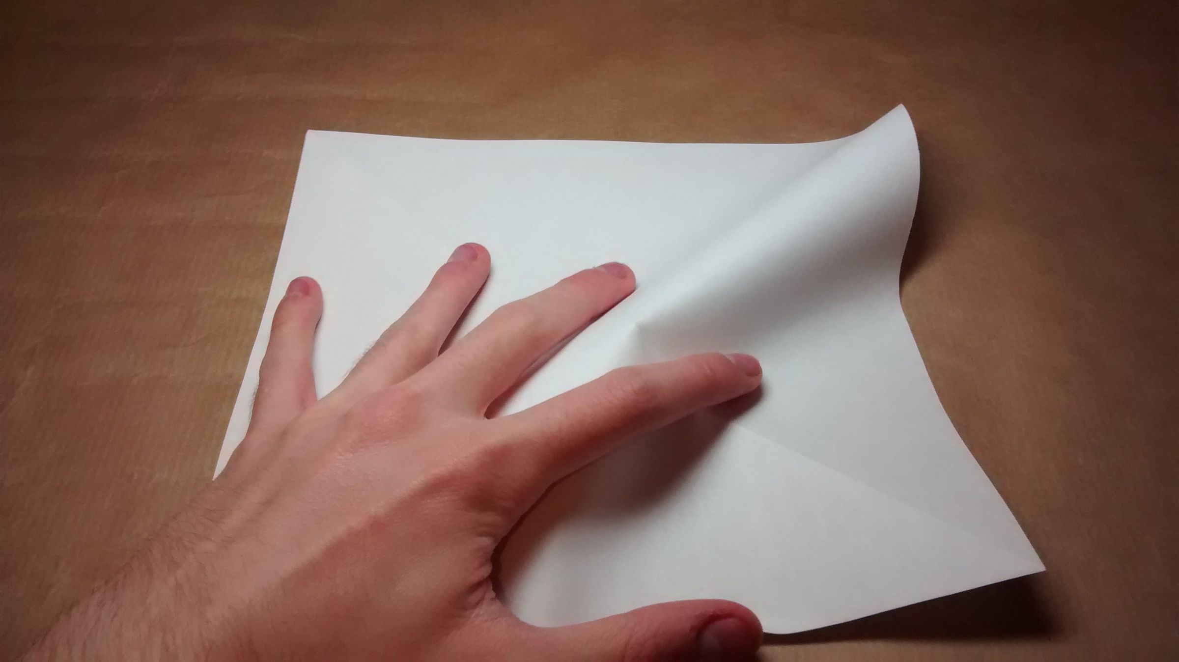 Pet Origami Rock and Manual : 4 Steps - Instructables
