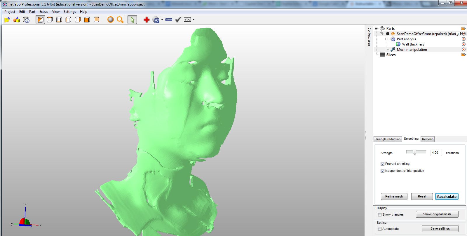 Preparing 3D Scans for 3D Printing, With Rhino and Netfabb Pro : 19 ...
