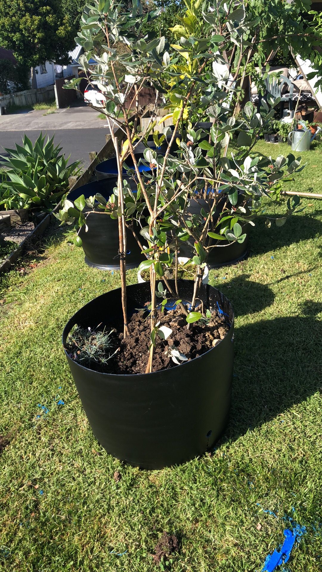 Portable Tree Planter : 4 Steps - Instructables