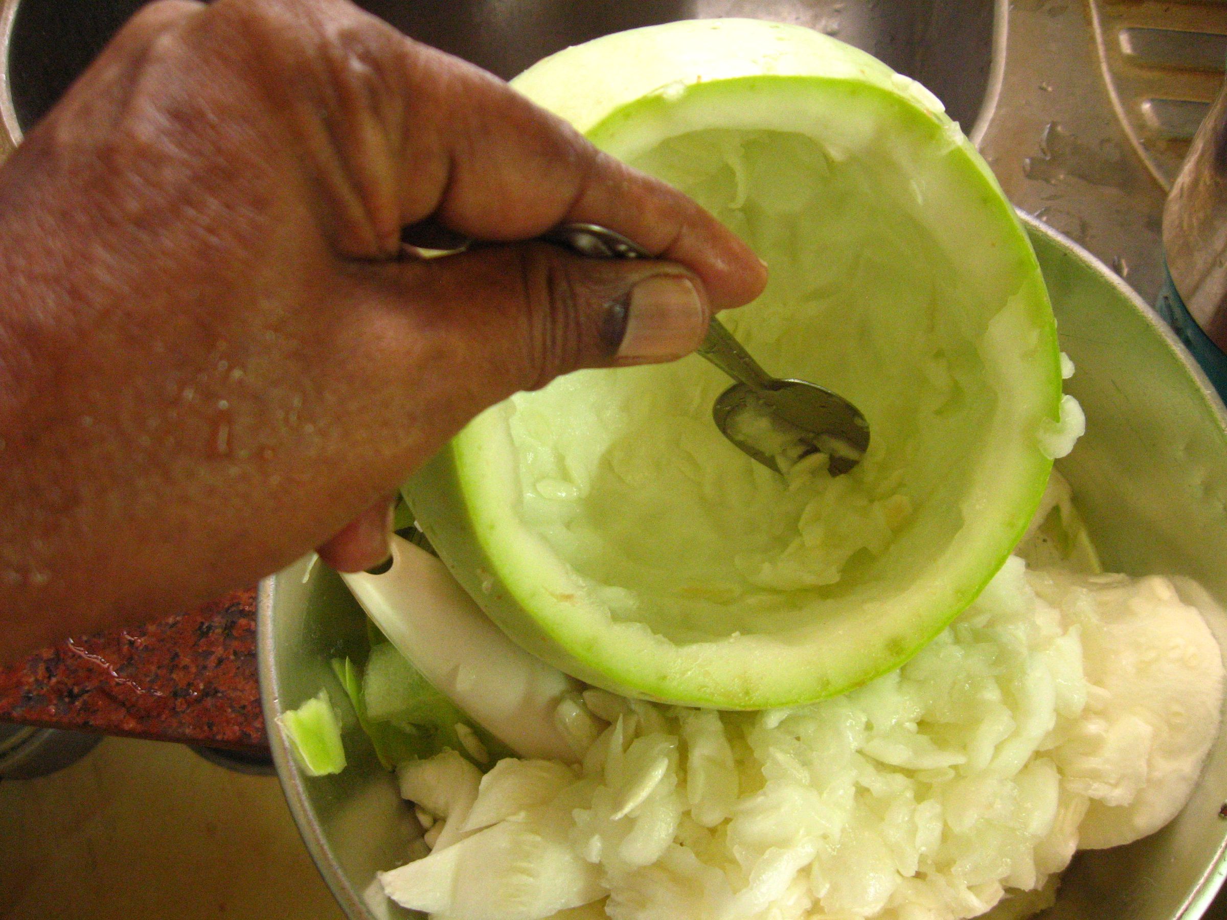 Seed Germination With Bottle Gourd Shell As Planter : 6 Steps (with ...