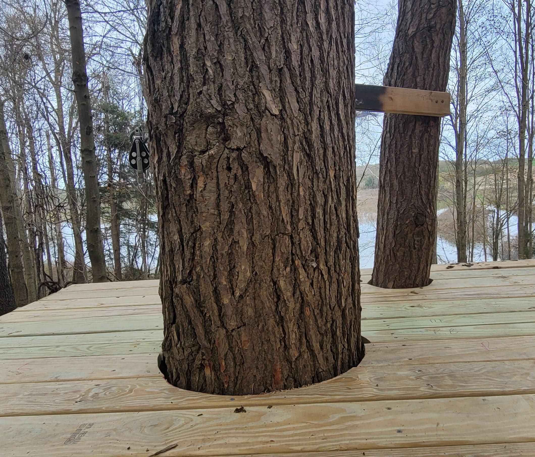 Tree Stand Blind : 12 Steps (with Pictures) - Instructables