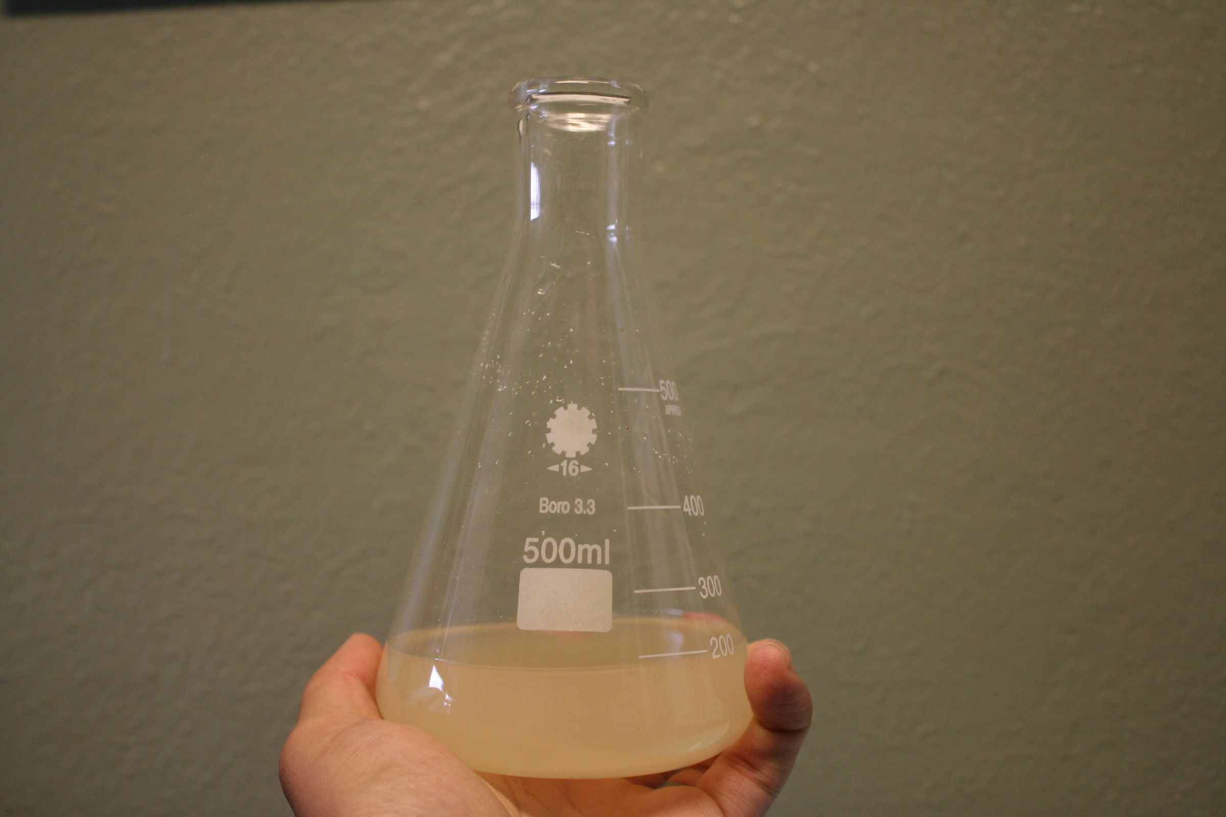 Bioluminescent Bacterial Lightbulb / Water Pollution Tester : 11 Steps ...