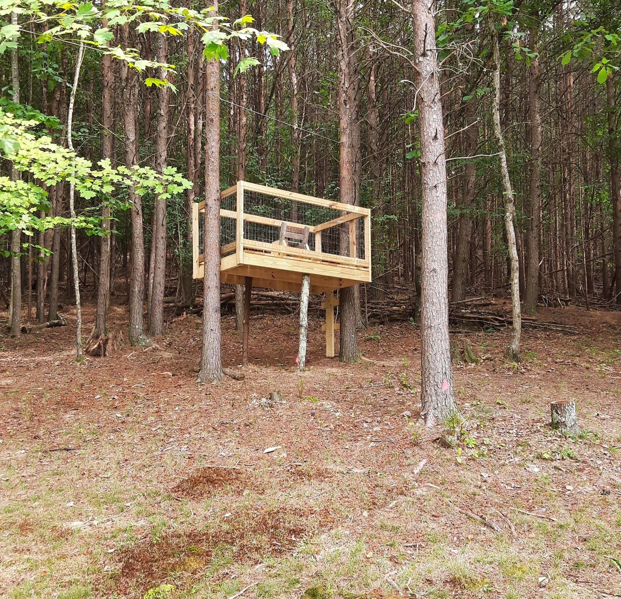 Tree Fort Stage 1 : 4 Steps - Instructables