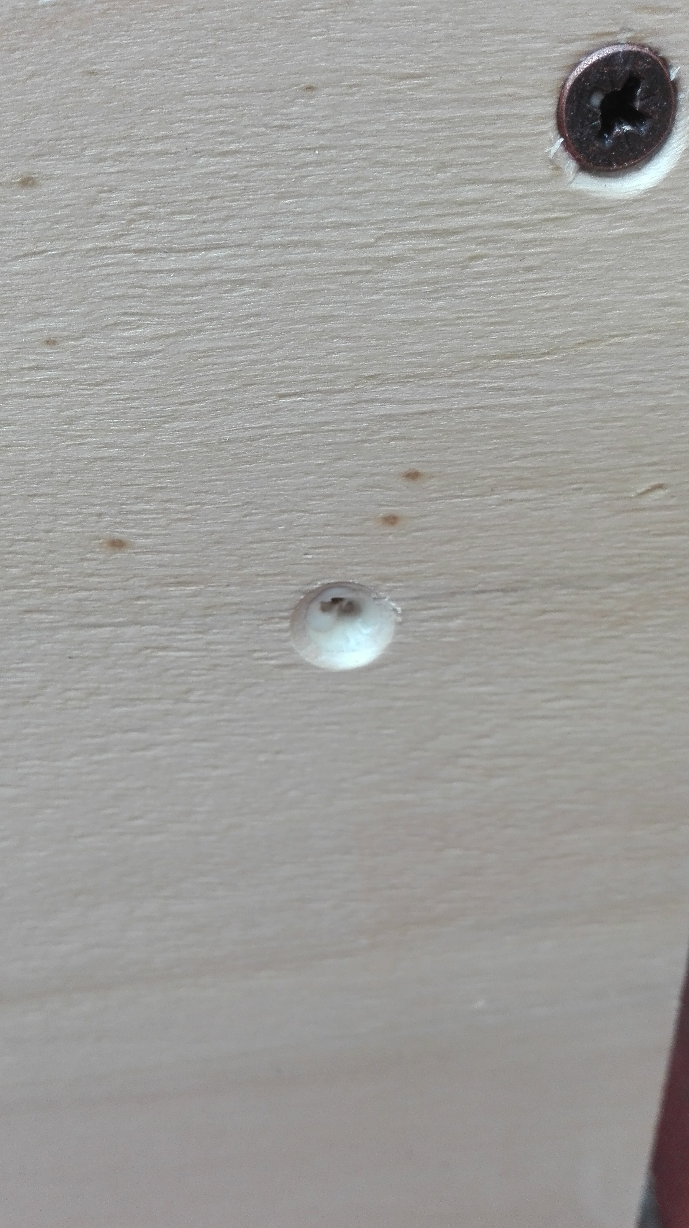 A Robust Side Bed for Our Incoming Daughter : 8 Steps (with Pictures ...