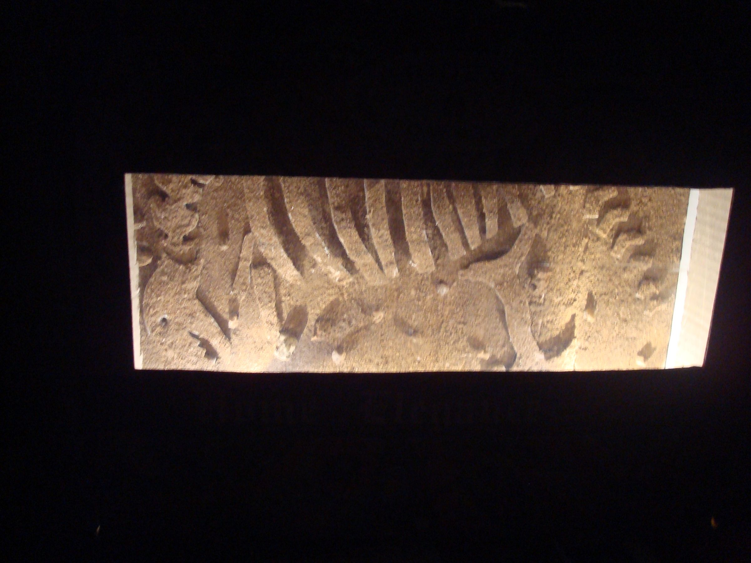 The Cardboard T- Rex Fossil : 4 Steps (with Pictures) - Instructables