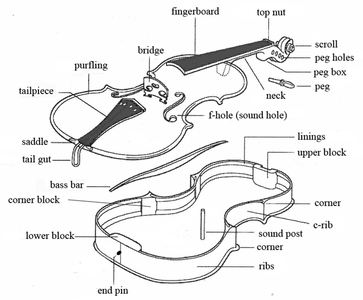 Building a Violin From Scratch Using Hand Tools : 35 Steps (with ...