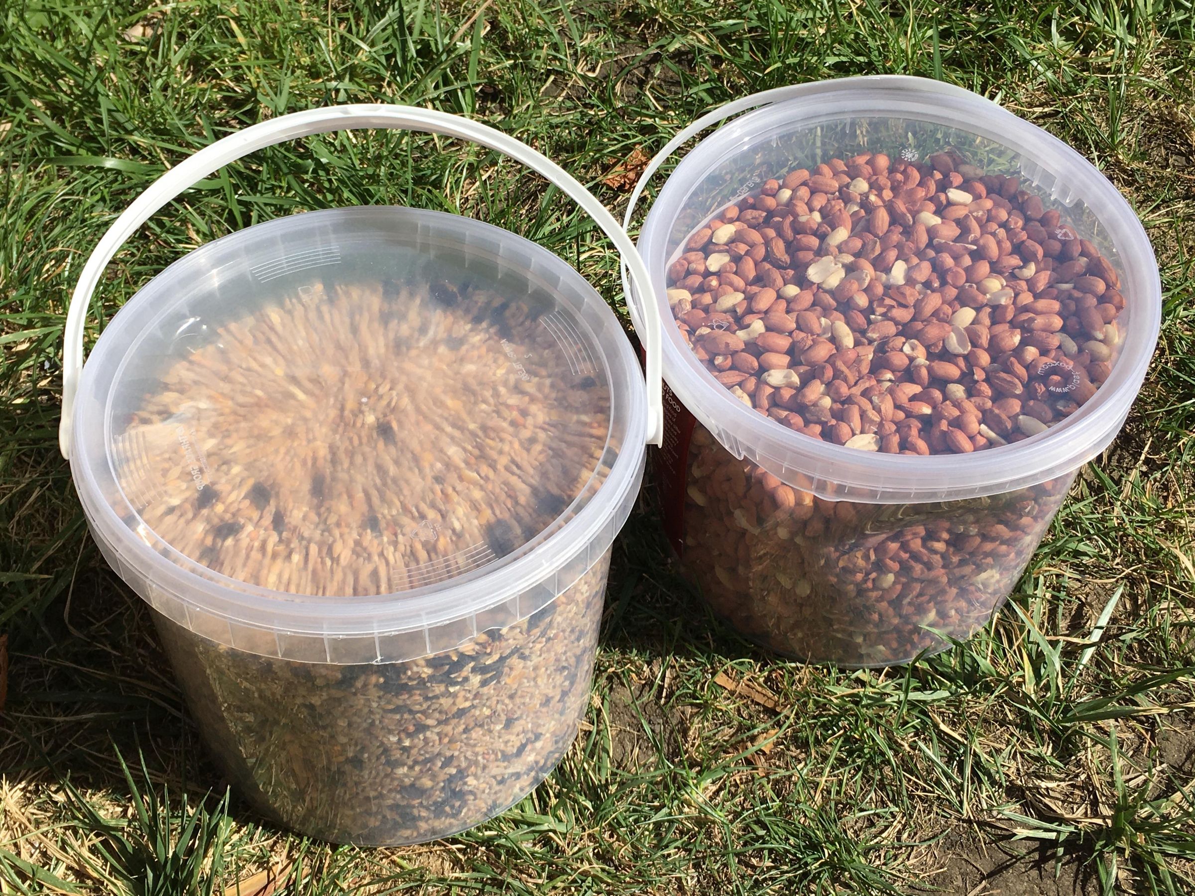 Squirrel Proof Bird Feeder Challenge : 43 Steps (with Pictures ...