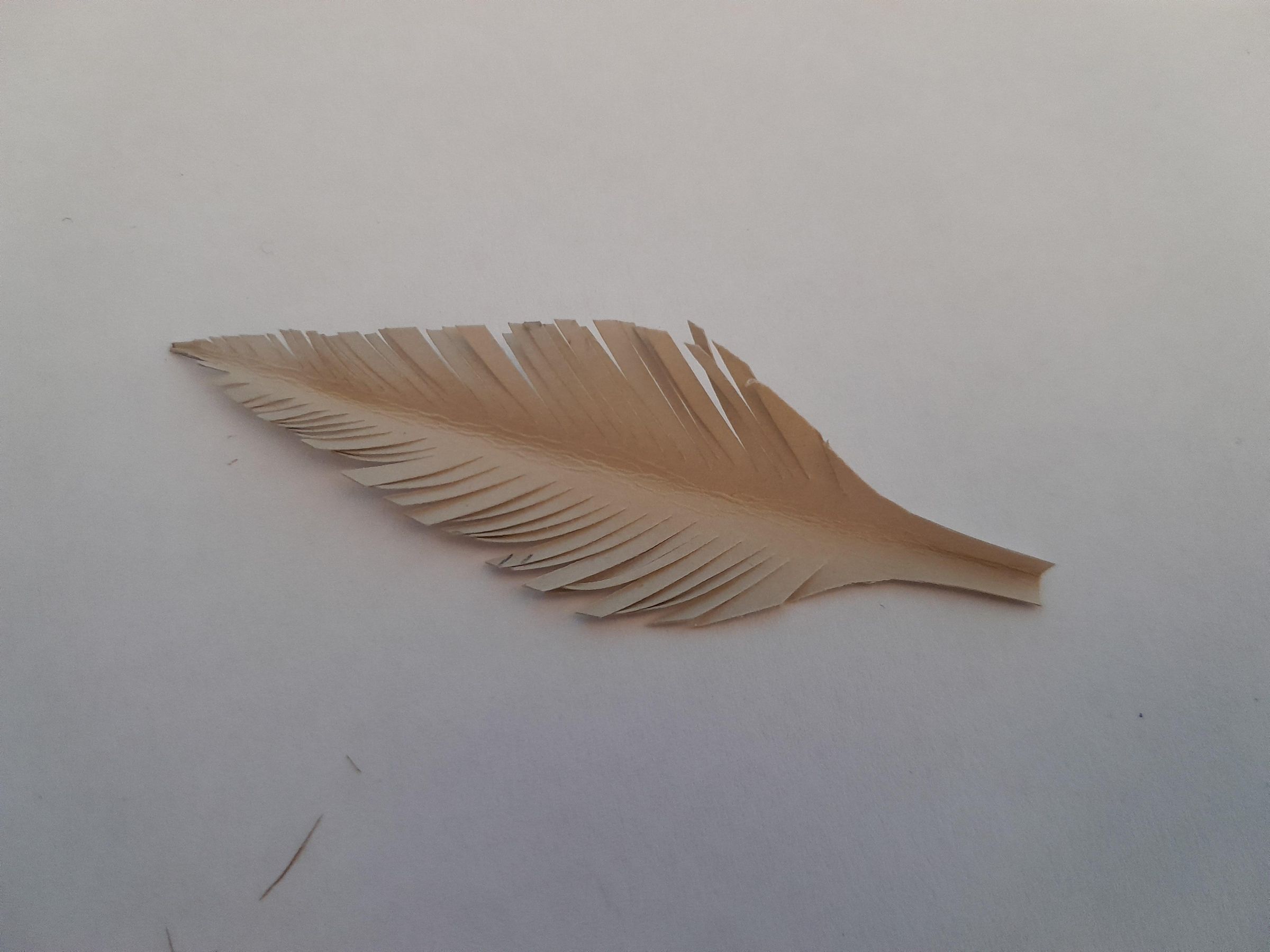 Constructing Paper Feathers : 6 Steps - Instructables