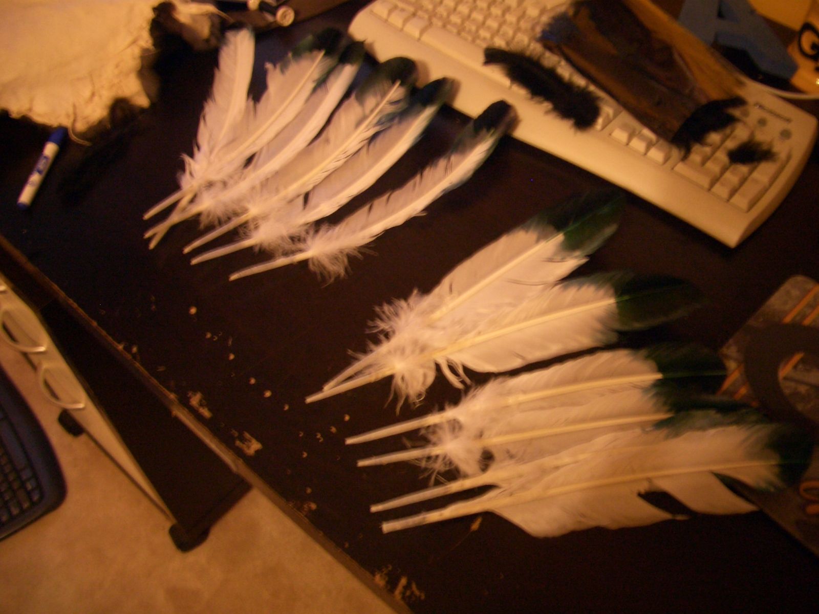 Make a Native American Cheif Hat (war Bonnet) : 7 Steps - Instructables