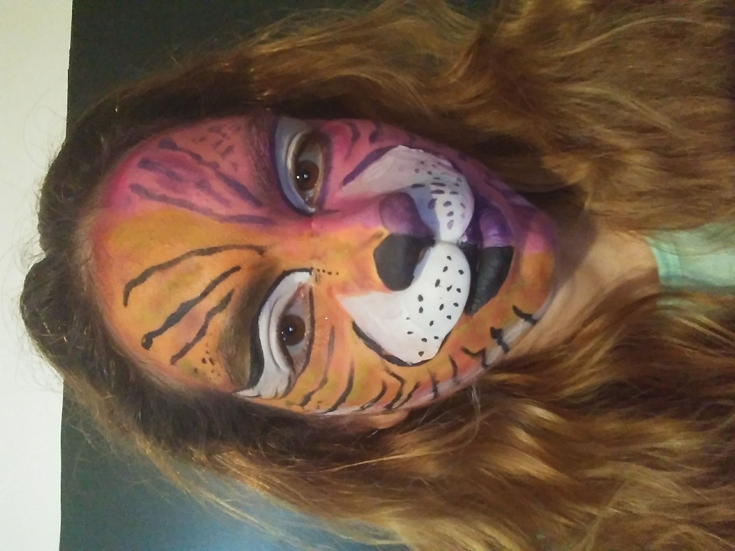 Two Tone Tiger Face Paint : 8 Steps (with Pictures) - Instructables