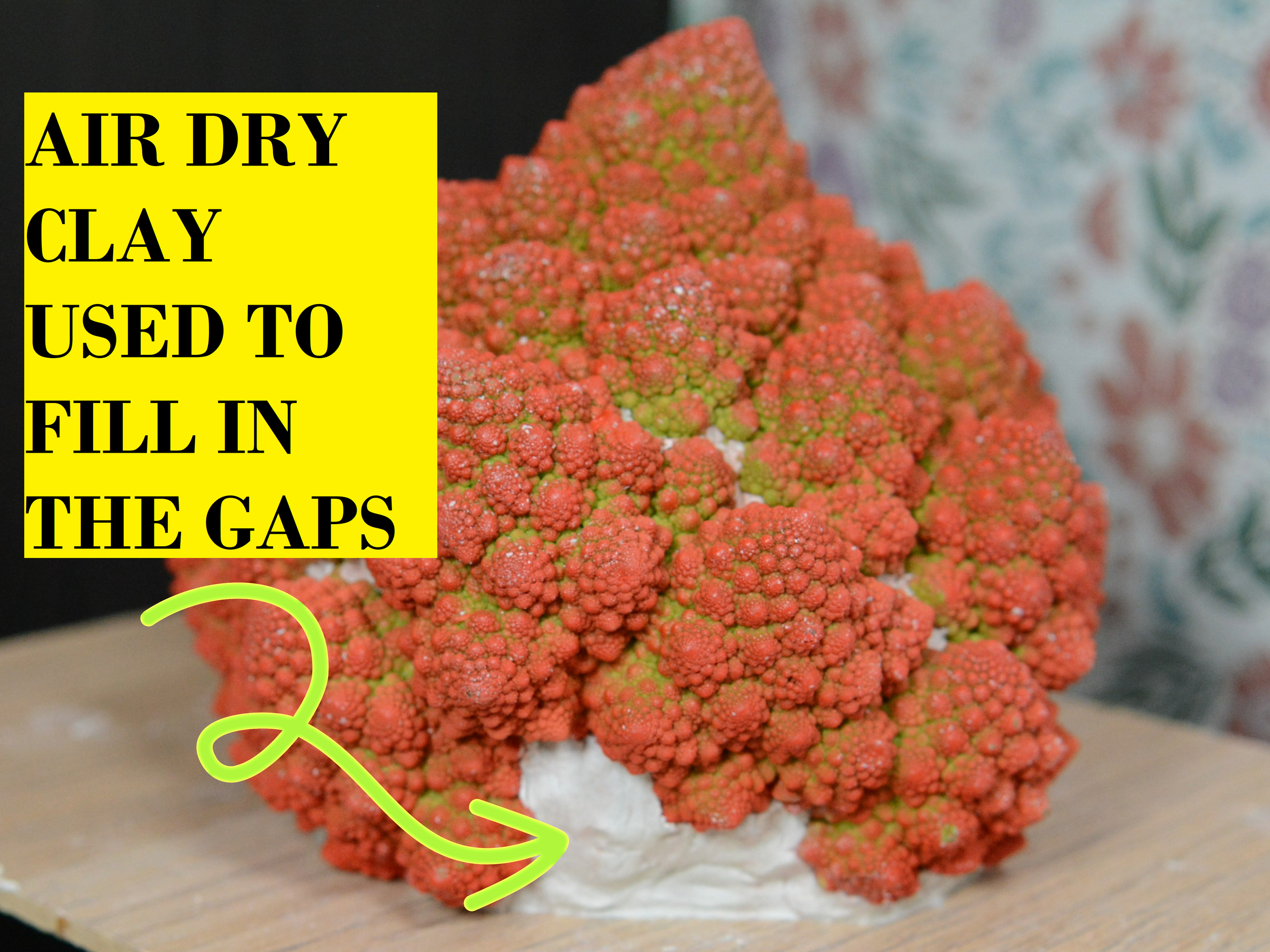 Turn Romanesco Broccoli Into a Candle : 17 Steps (with Pictures ...