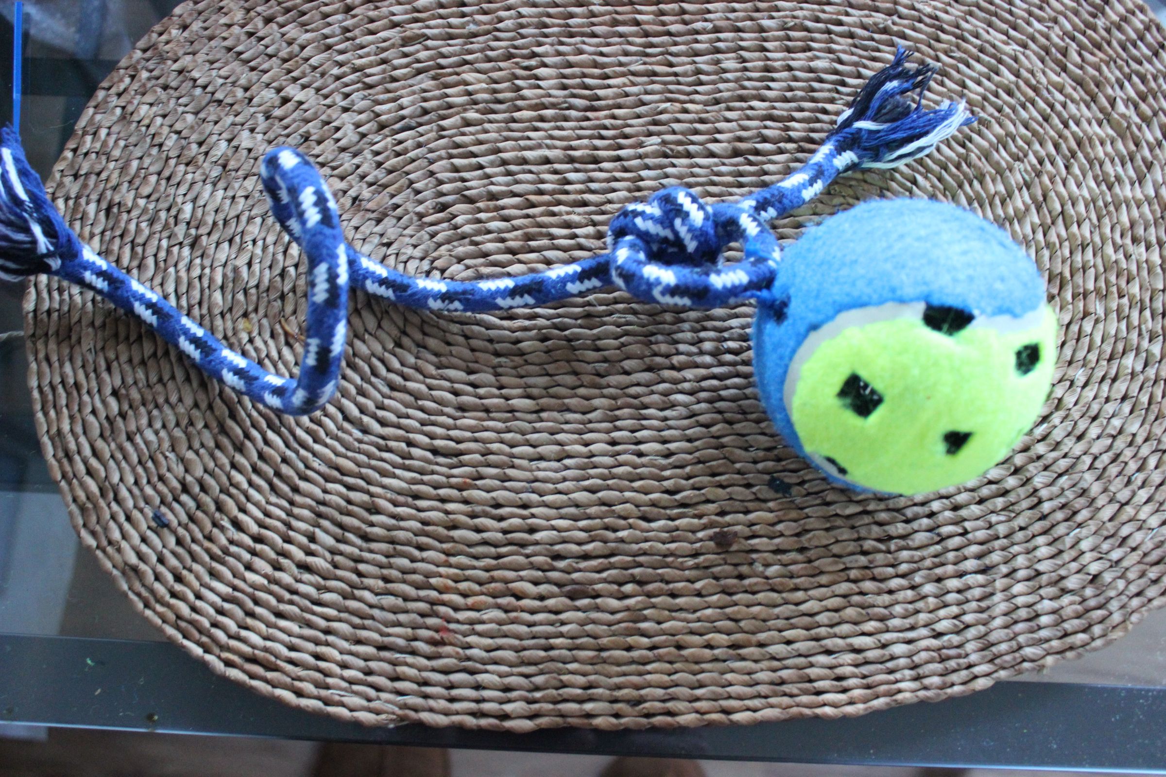 $3 Light Up Dog Toy : 6 Steps (with Pictures) - Instructables