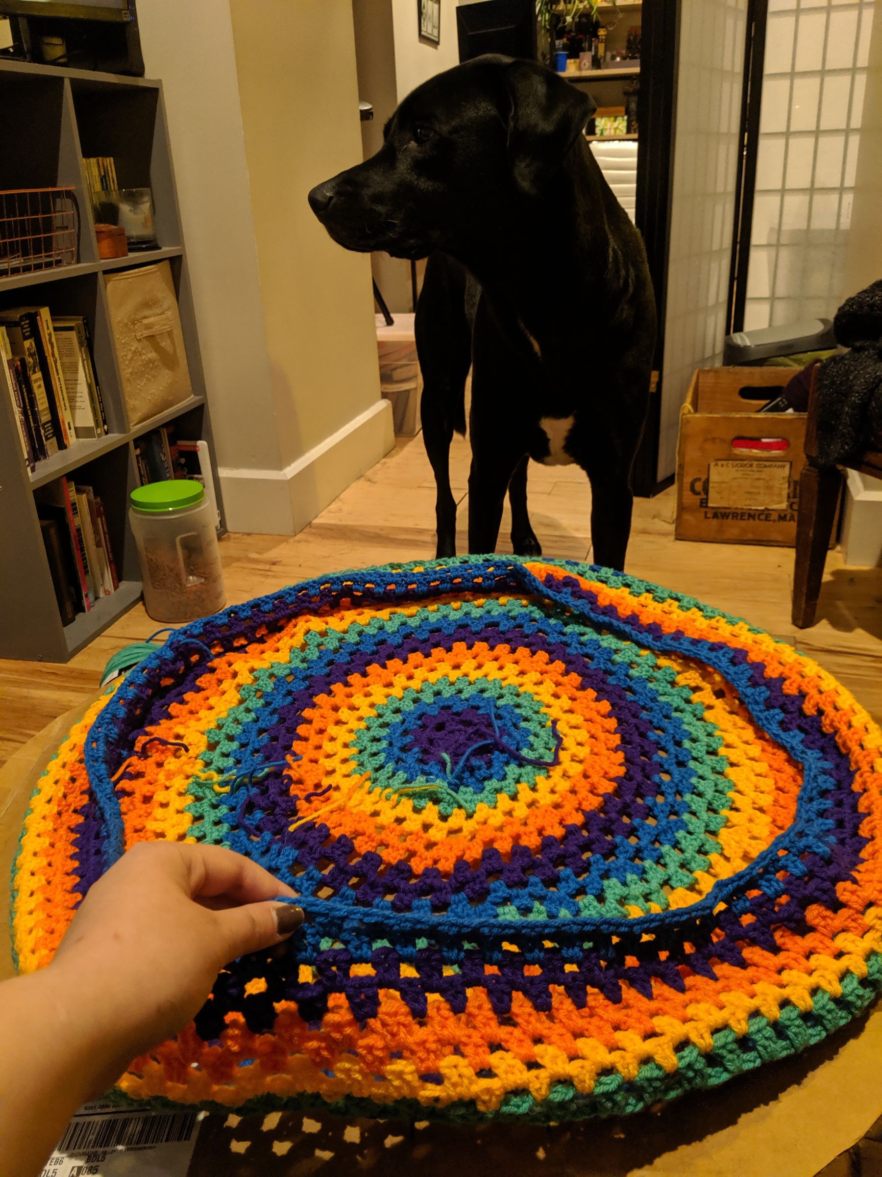 Crocheted Spare Tire Cover : 18 Steps (with Pictures) - Instructables