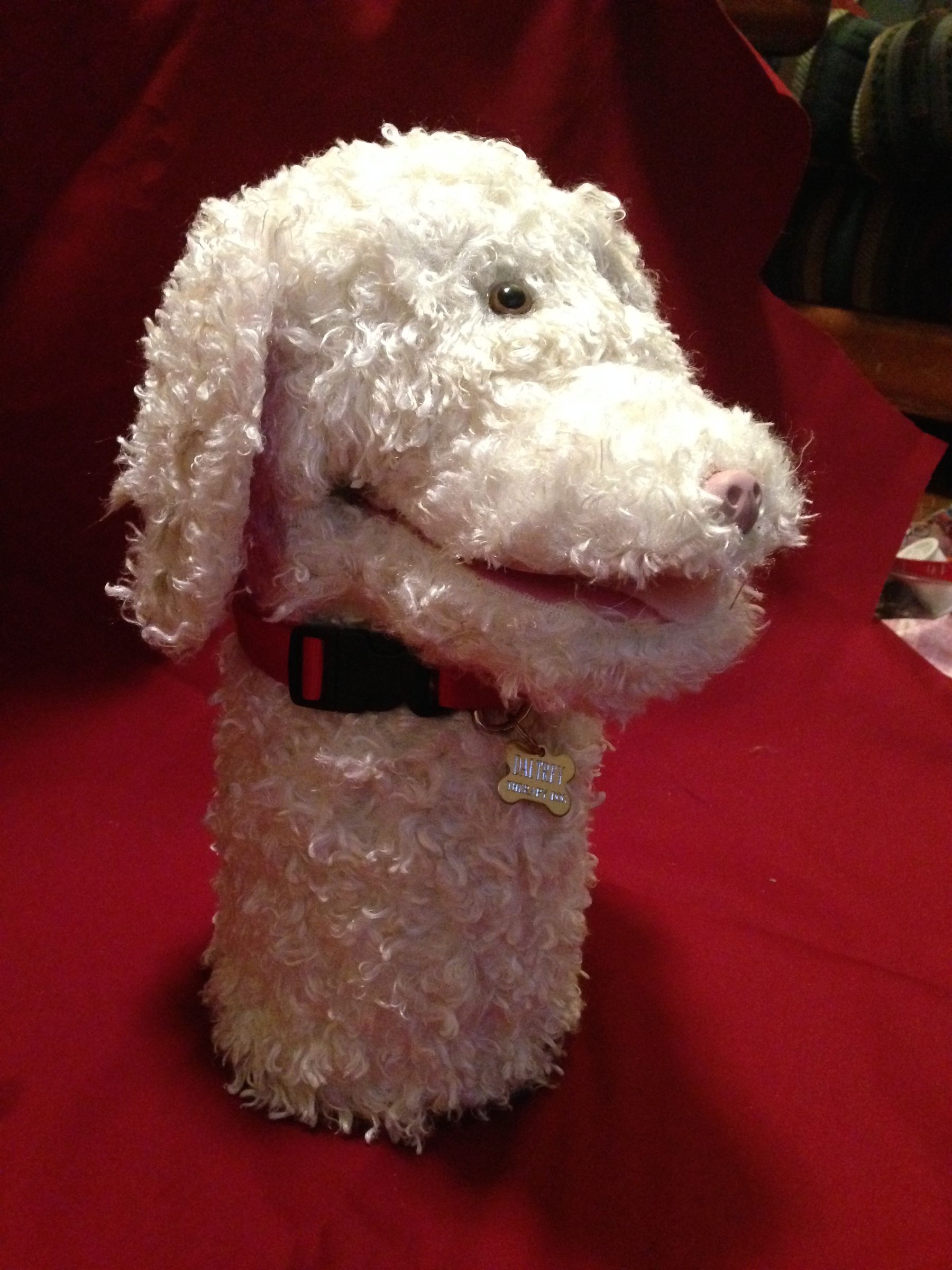 DIY Dog Puppet : 5 Steps (with Pictures) - Instructables