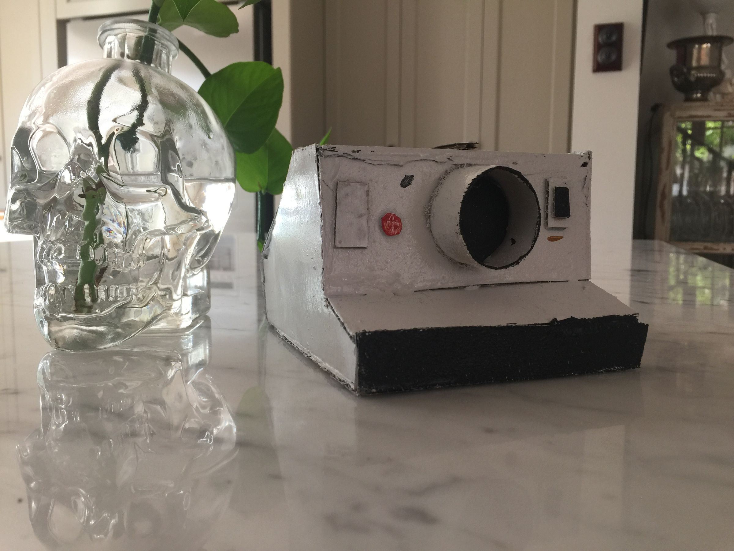 Cardboard Polaroid Camera : 4 Steps - Instructables
