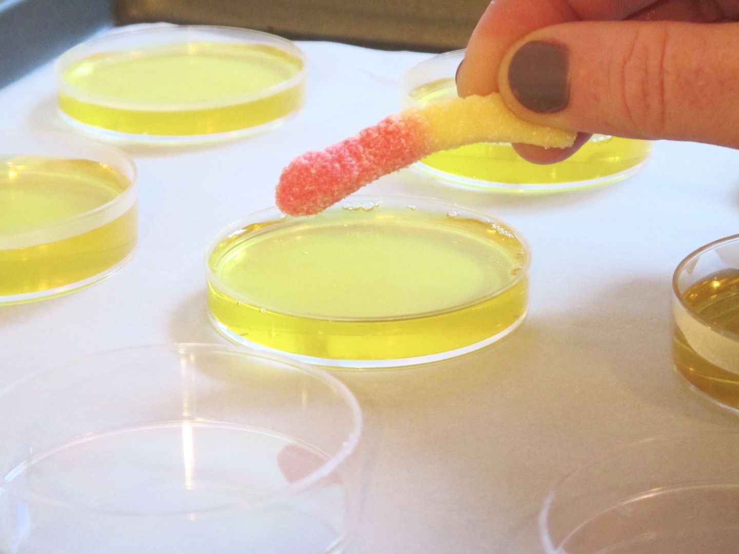 Spooky Science Snacks : 8 Steps (with Pictures) - Instructables