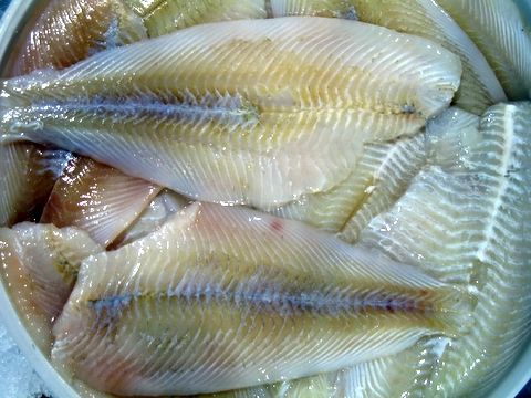 How to Fillet a Fish : 8 Steps - Instructables