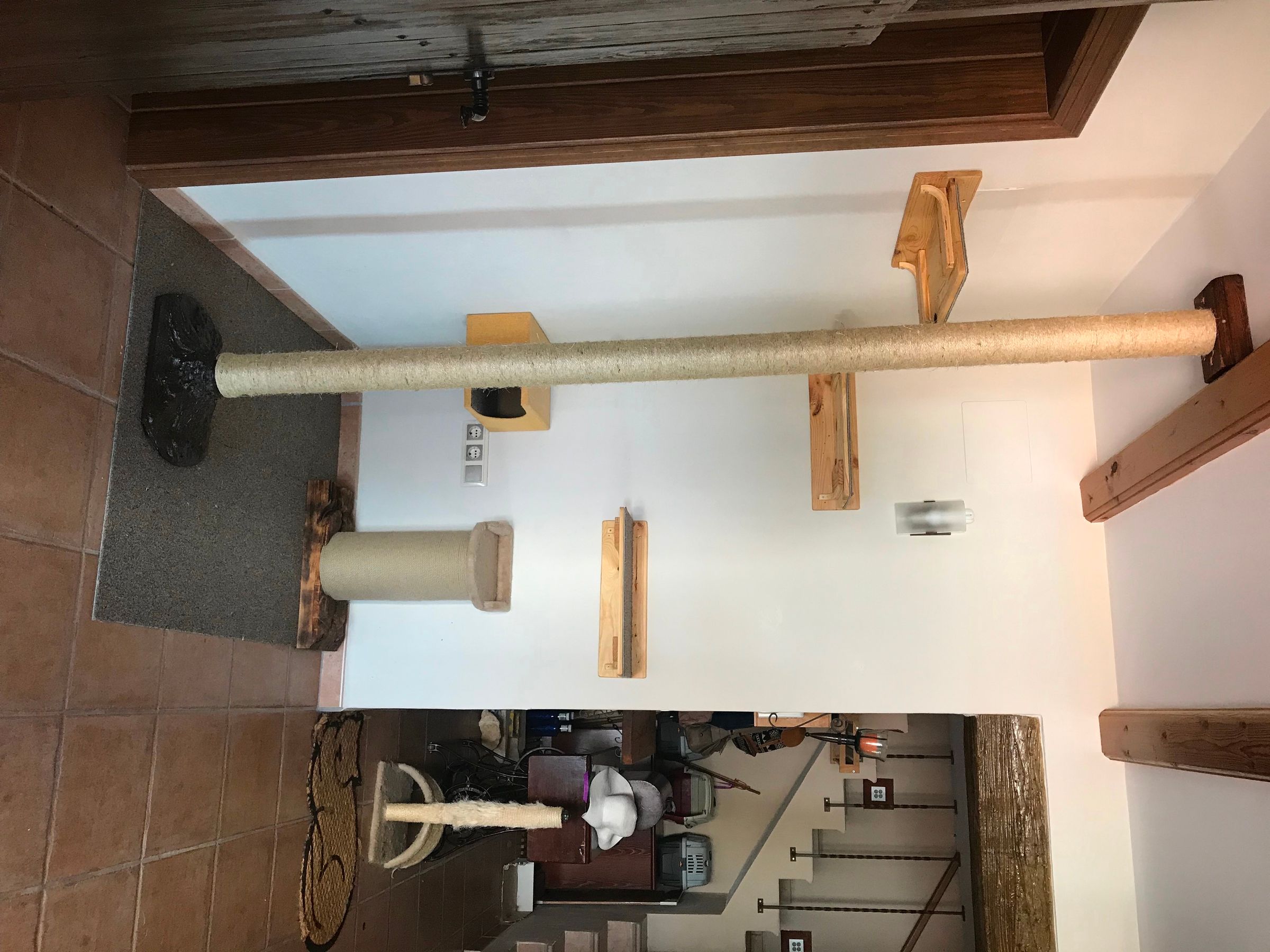Cats' Corner : 10 Steps - Instructables