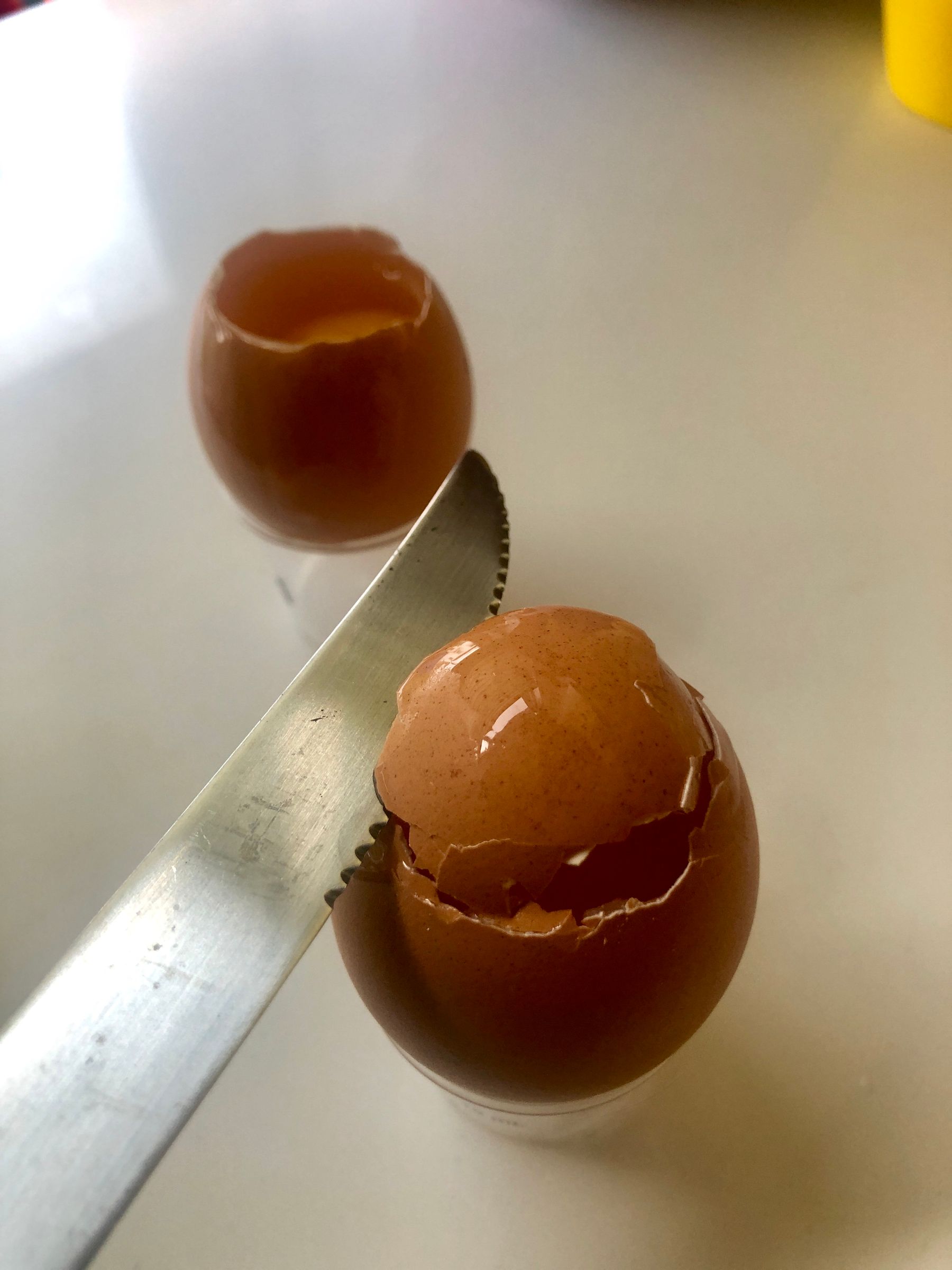 Make a Micro Eggshell Planter Out of Cement for Tiny Succulent Plants ...