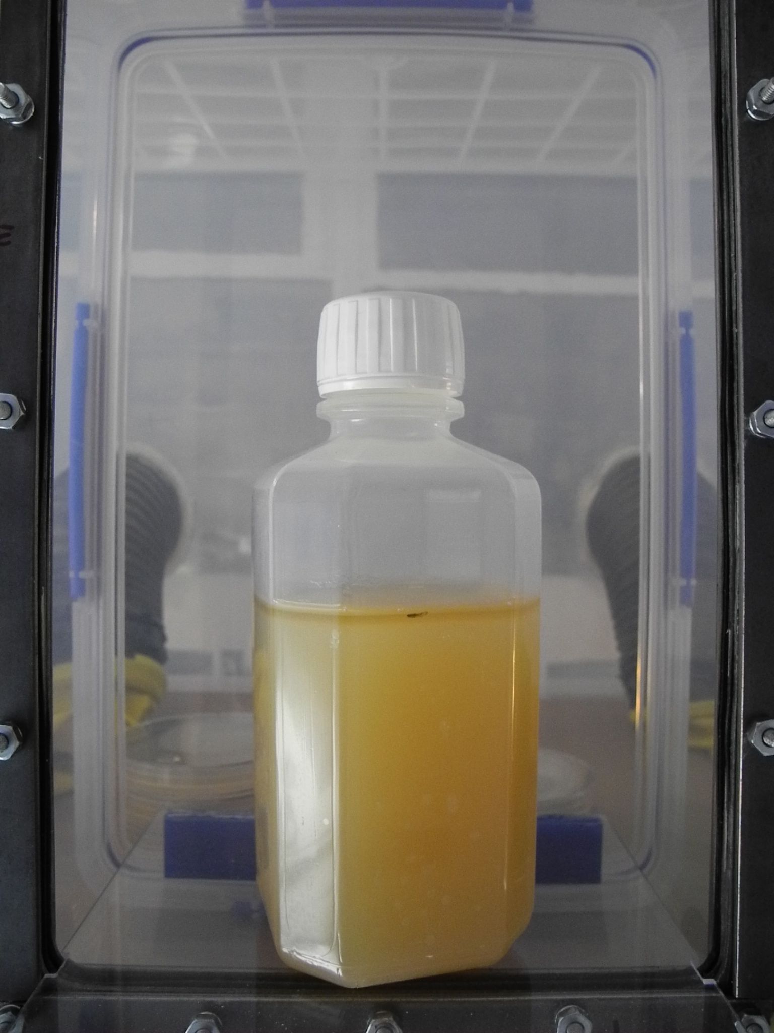 DIY Anaerobic Chamber (aka Glove Box) : 12 Steps (with Pictures ...