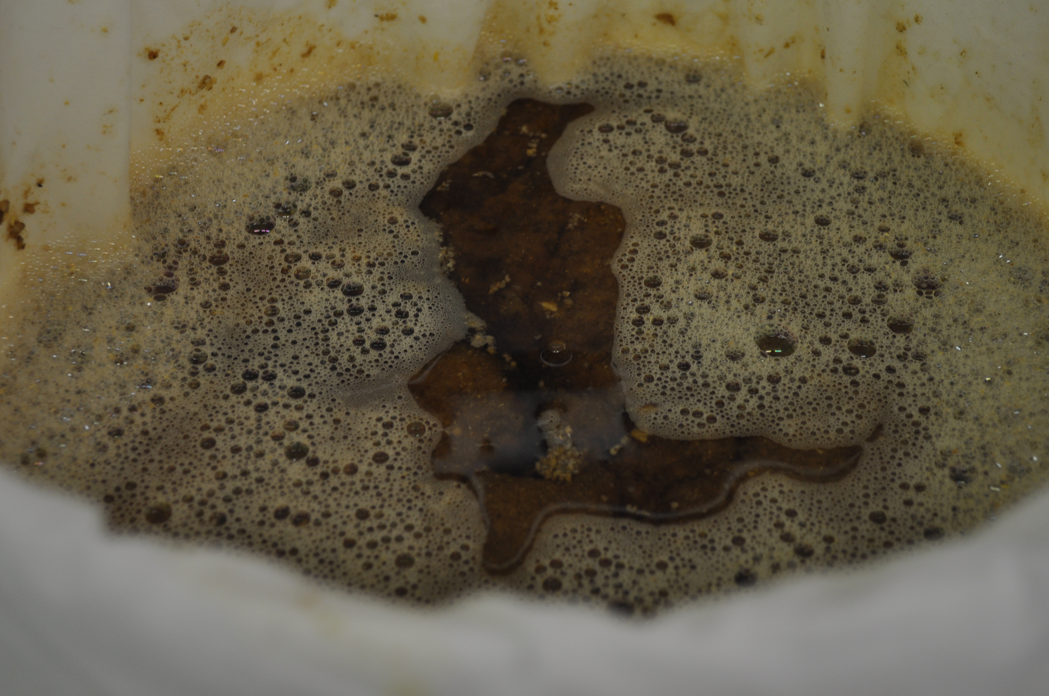 Easy Decoction Mashing (Schmitz Process) : 6 Steps - Instructables